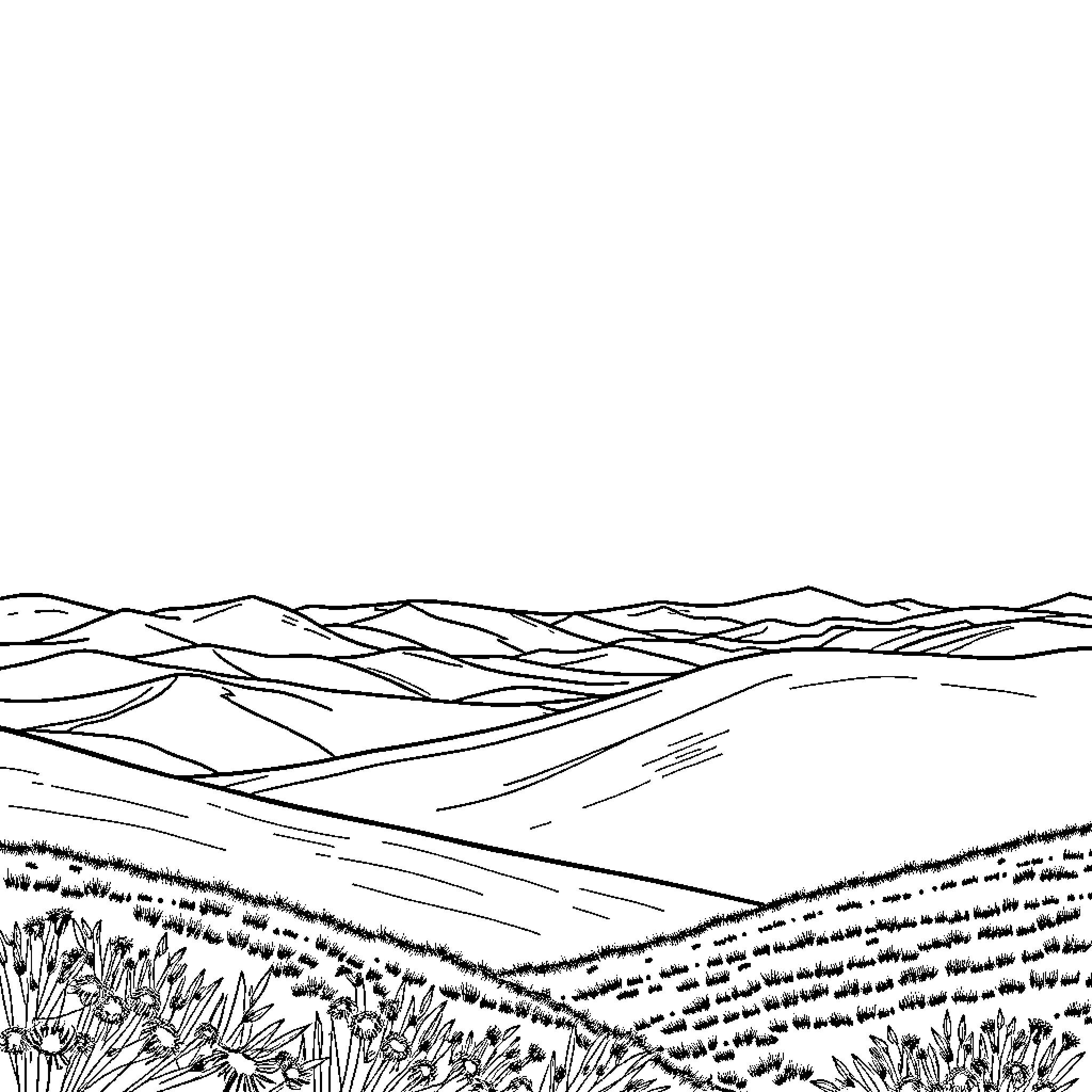 Best Landscape Coloring Pages (Free Printable PDF)