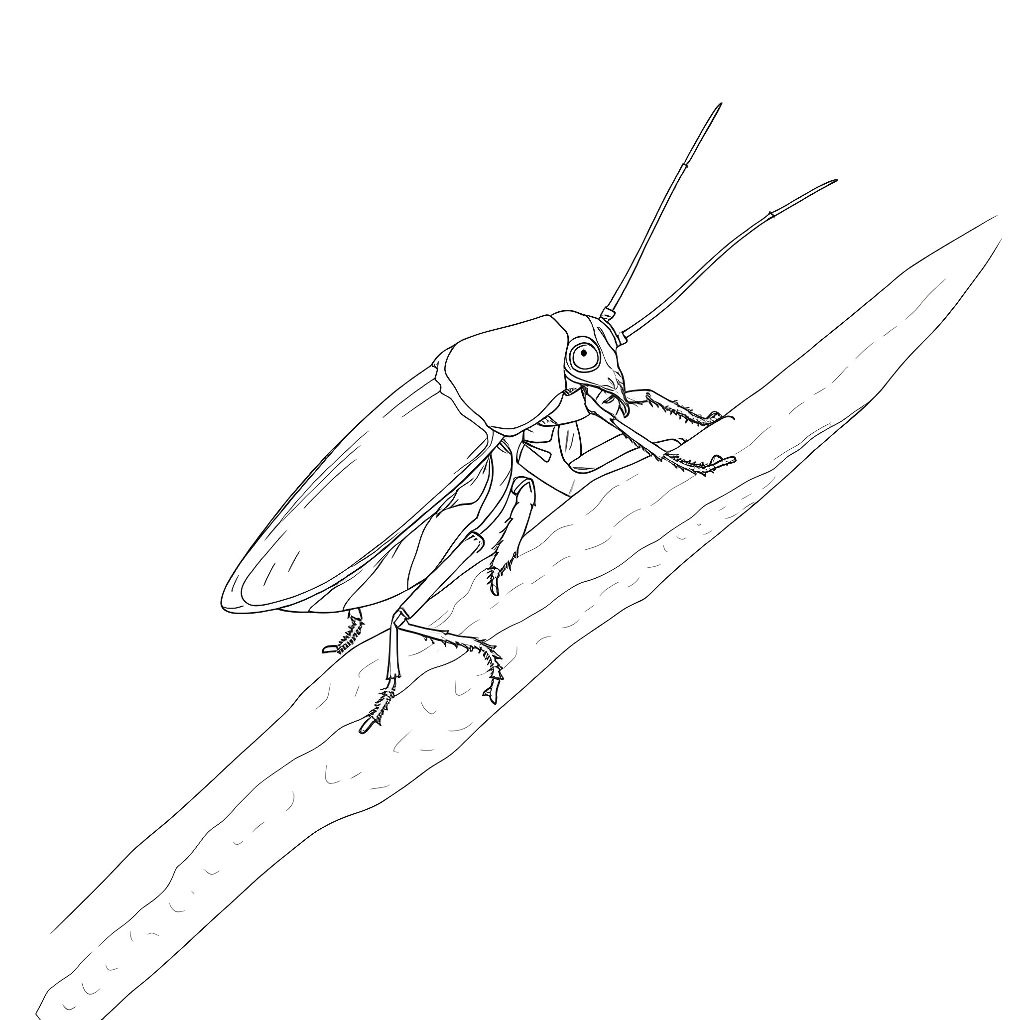 54 Best Cockroach Coloring Pages (Free Printable PDFs)