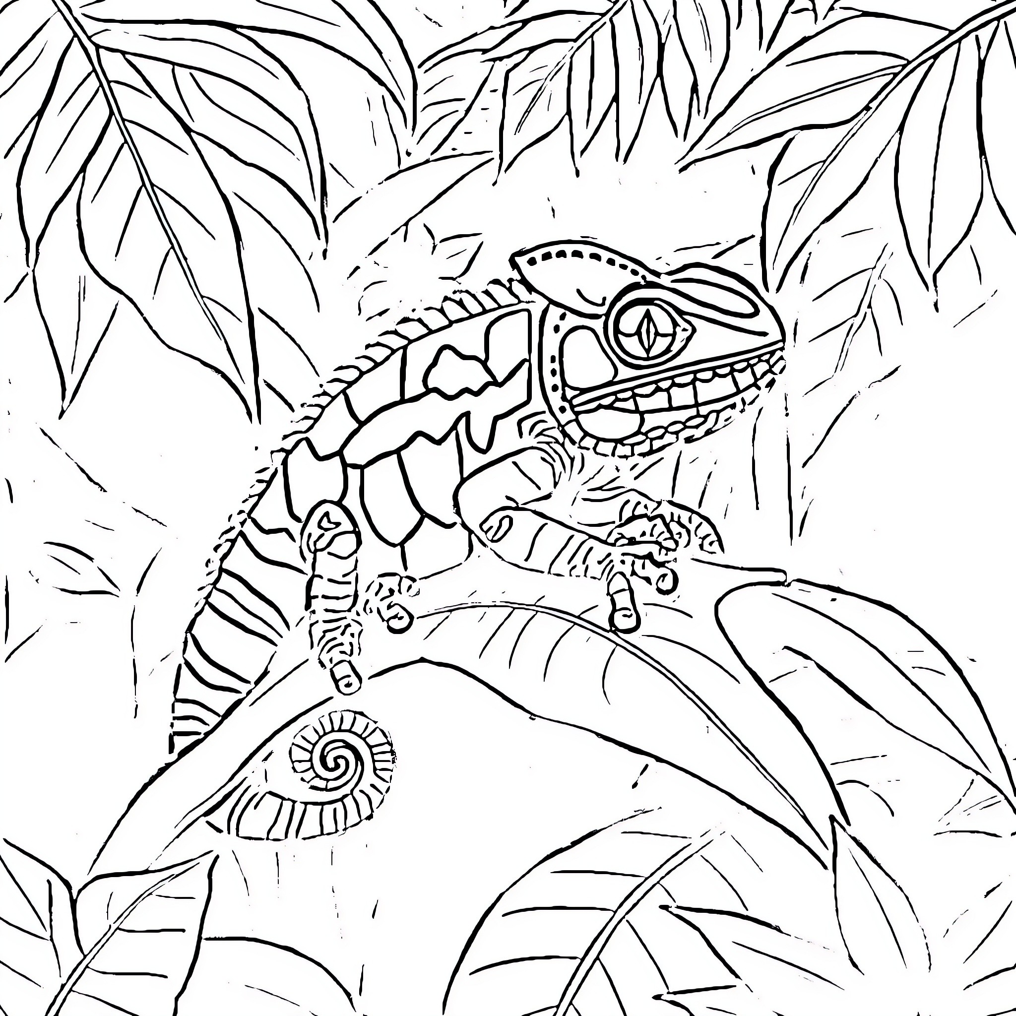 Best Chameleon Coloring Pages (Free Printable PDF)