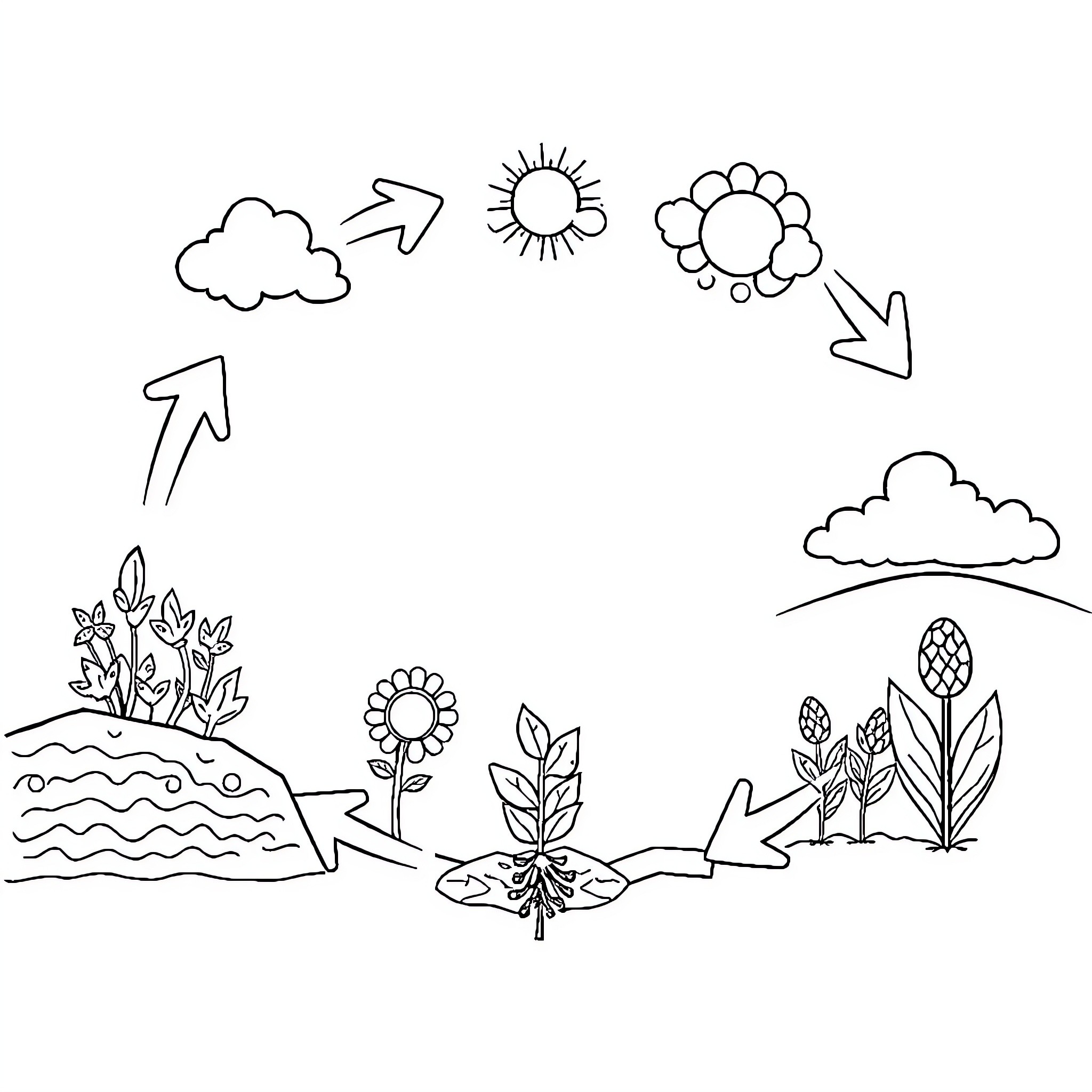 Best Nitrogen Cycle Coloring Pages (Free Printable PDF)