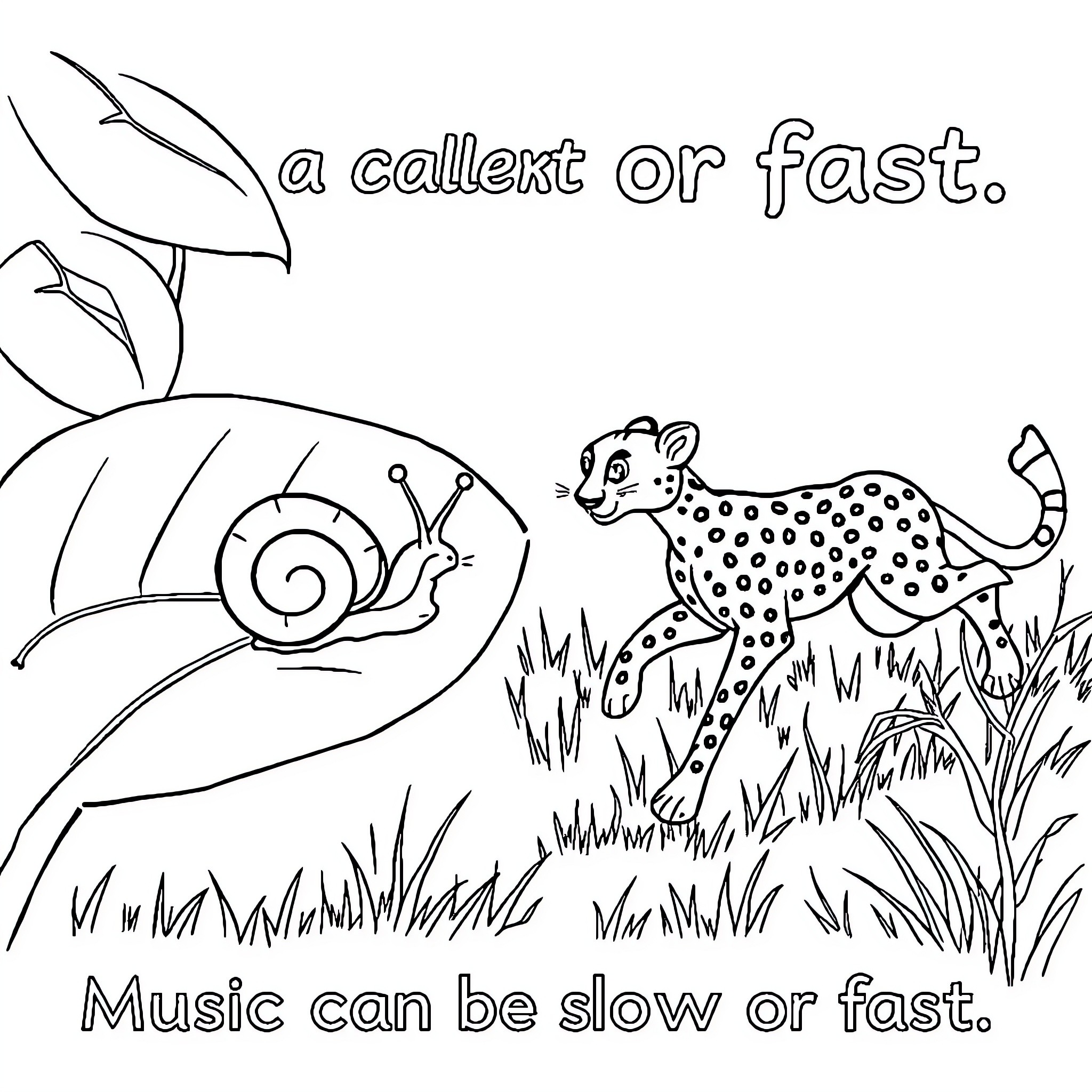 Best Snail and Cheetah Coloring Pages (Free Printable PDF)