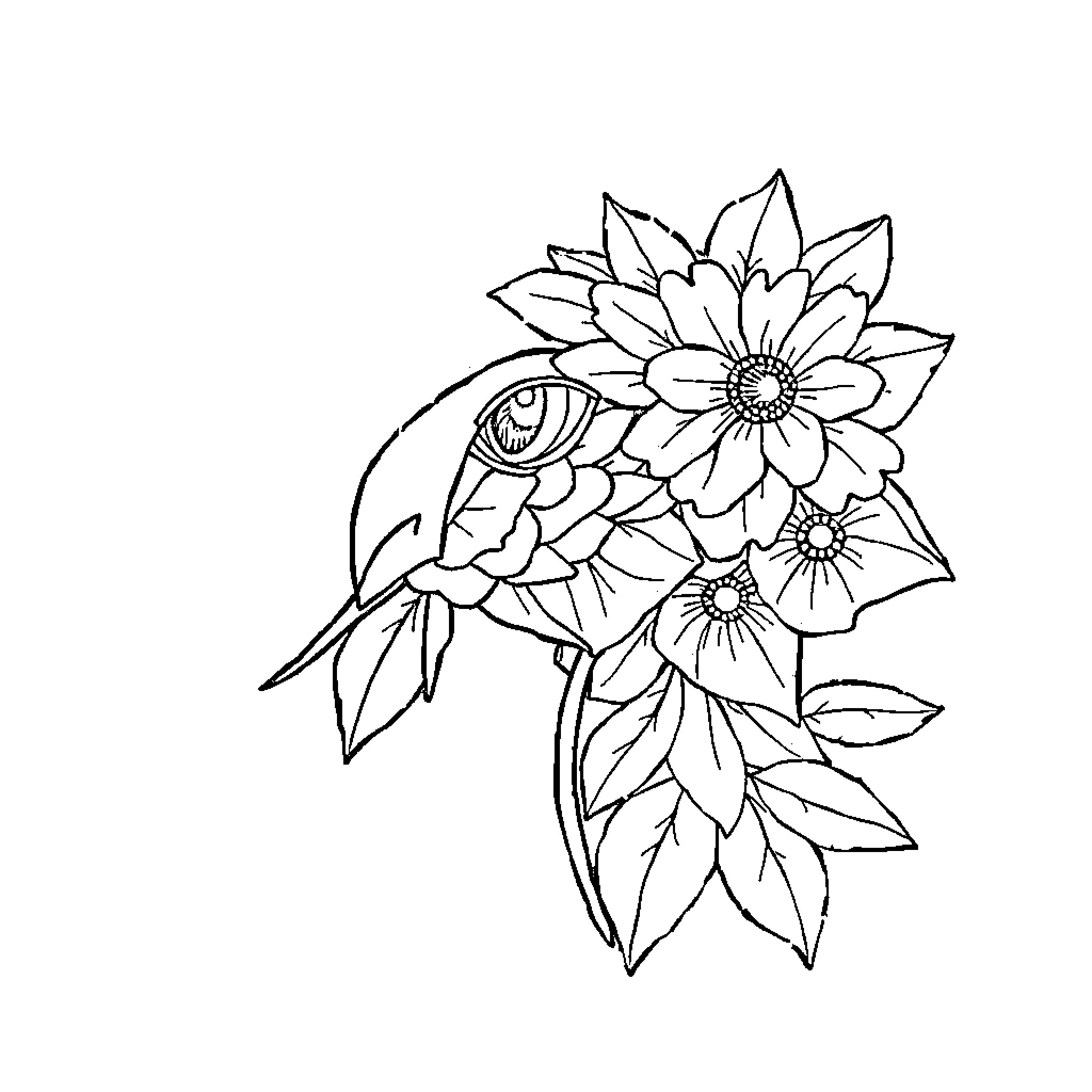 Best Emery Coloring Pages (Free Printable PDF)