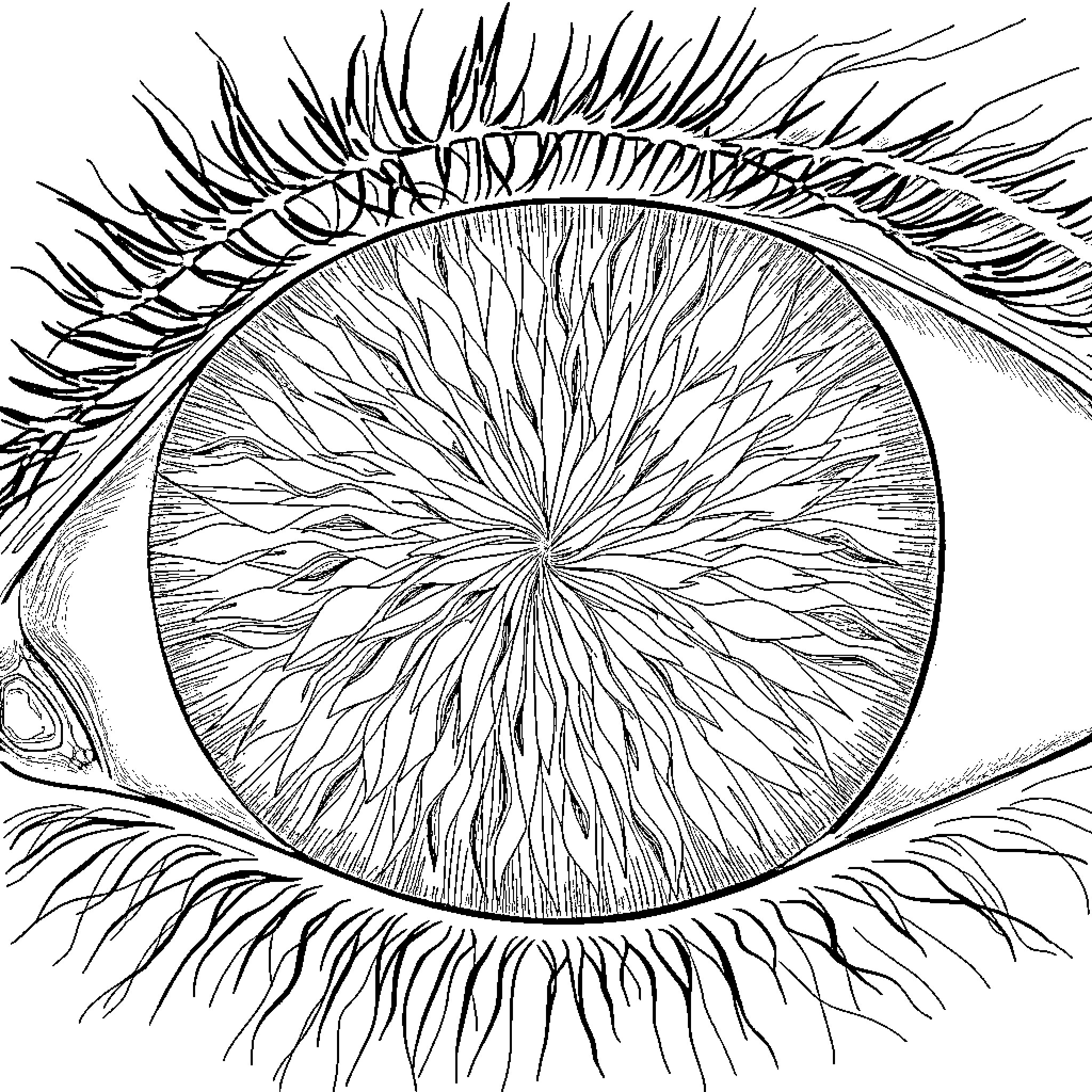 Best Ulu Coloring Pages (Free Printable PDF)