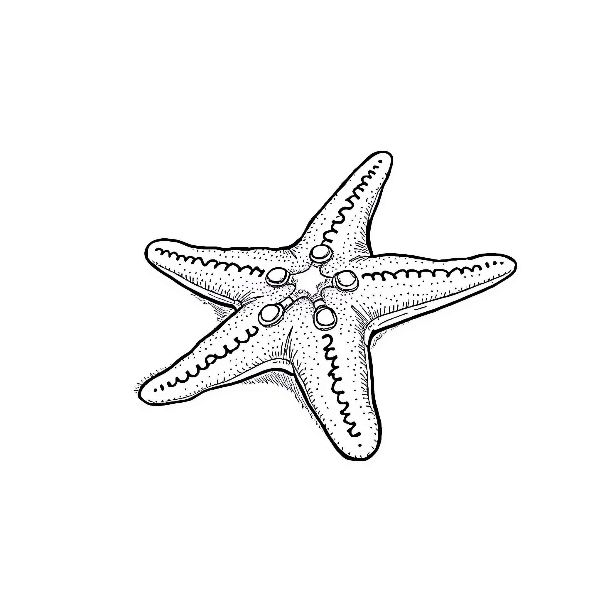 Best Starfish Coloring Pages (Free Printable PDF)
