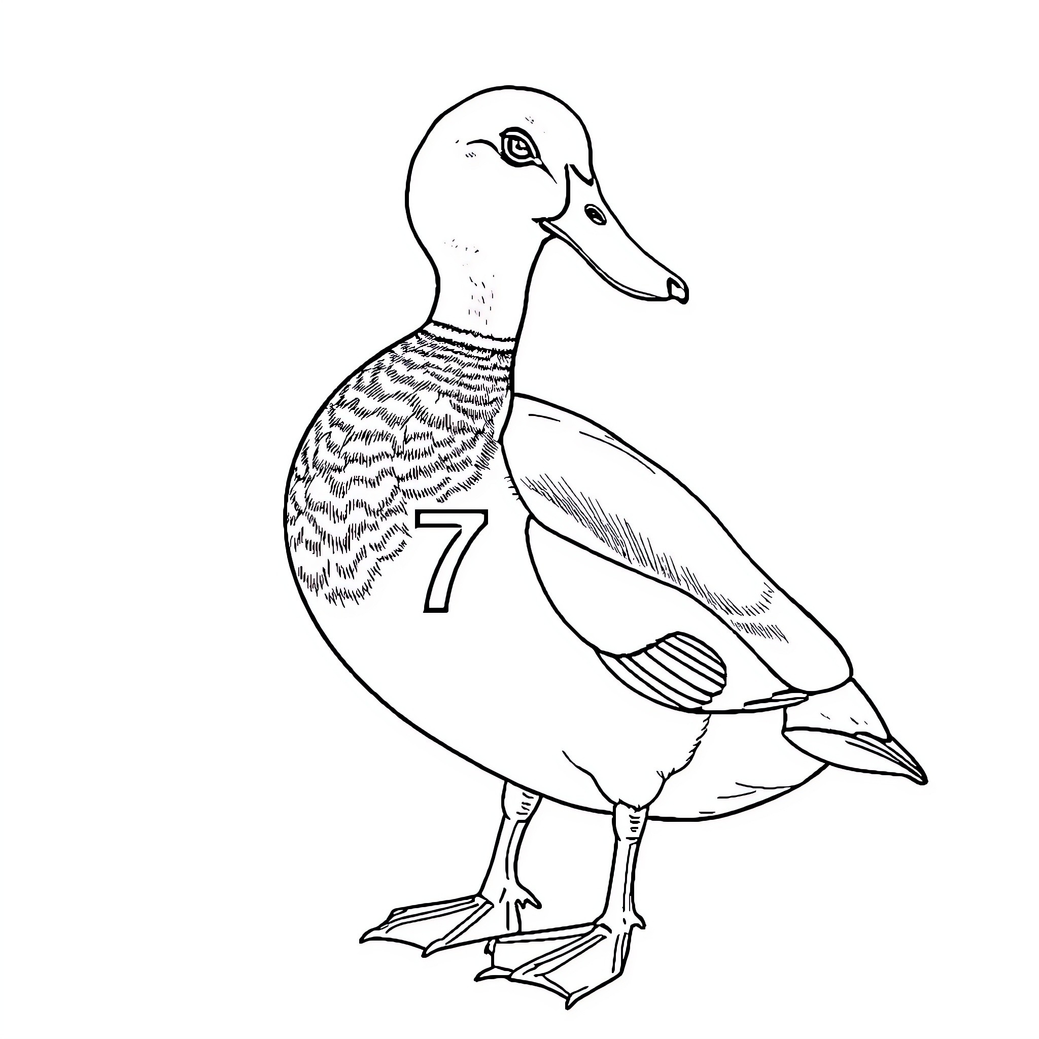 Best Pool Table Coloring Pages (Free Printable PDF)