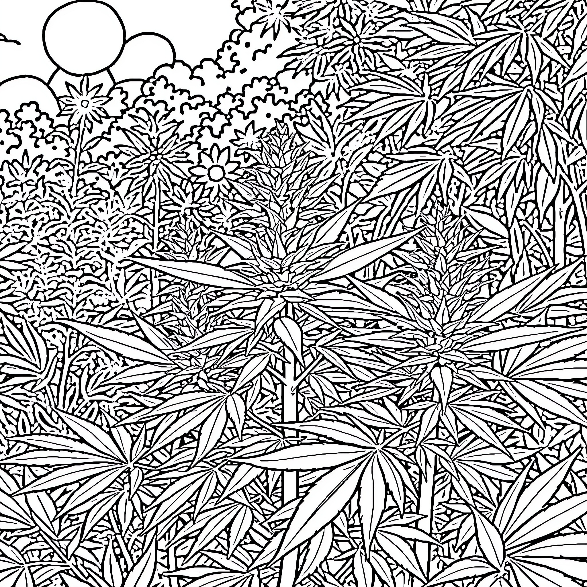 Best Cannabis Coloring Pages (Free Printable PDF)
