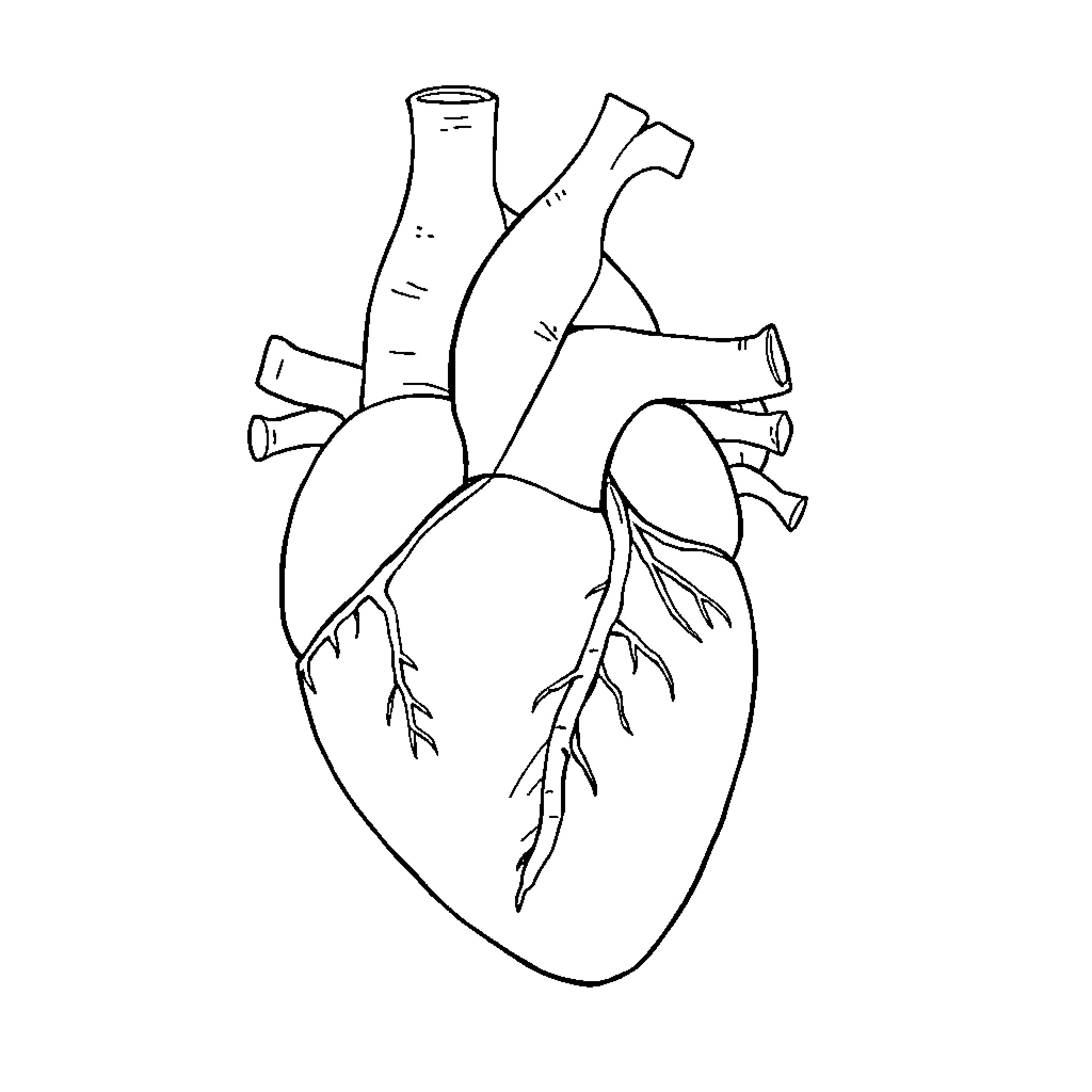 Best Pre-Writing Coloring Pages (Free Printable PDF)