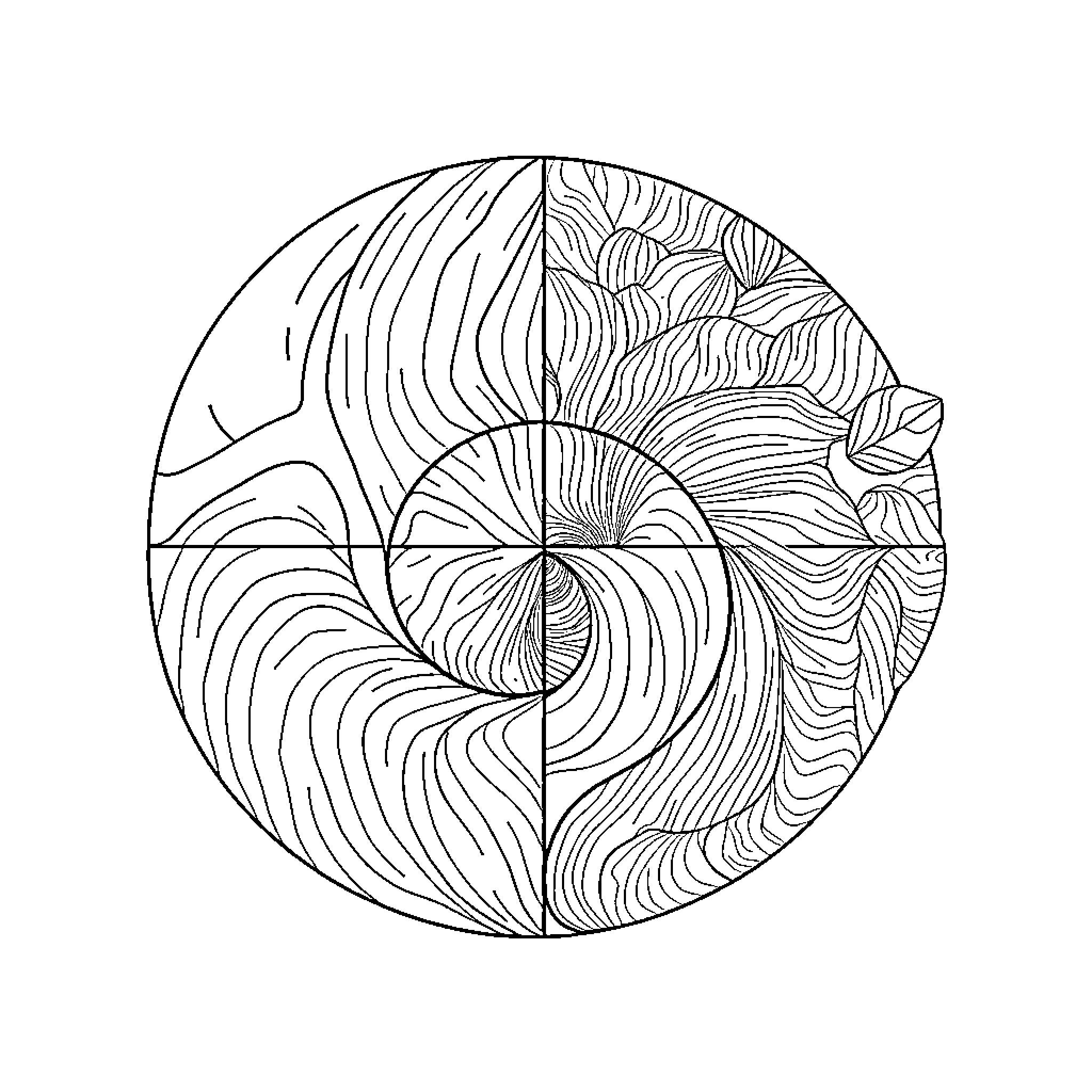 Best Brahman Bull Coloring Pages (Free Printable PDF)