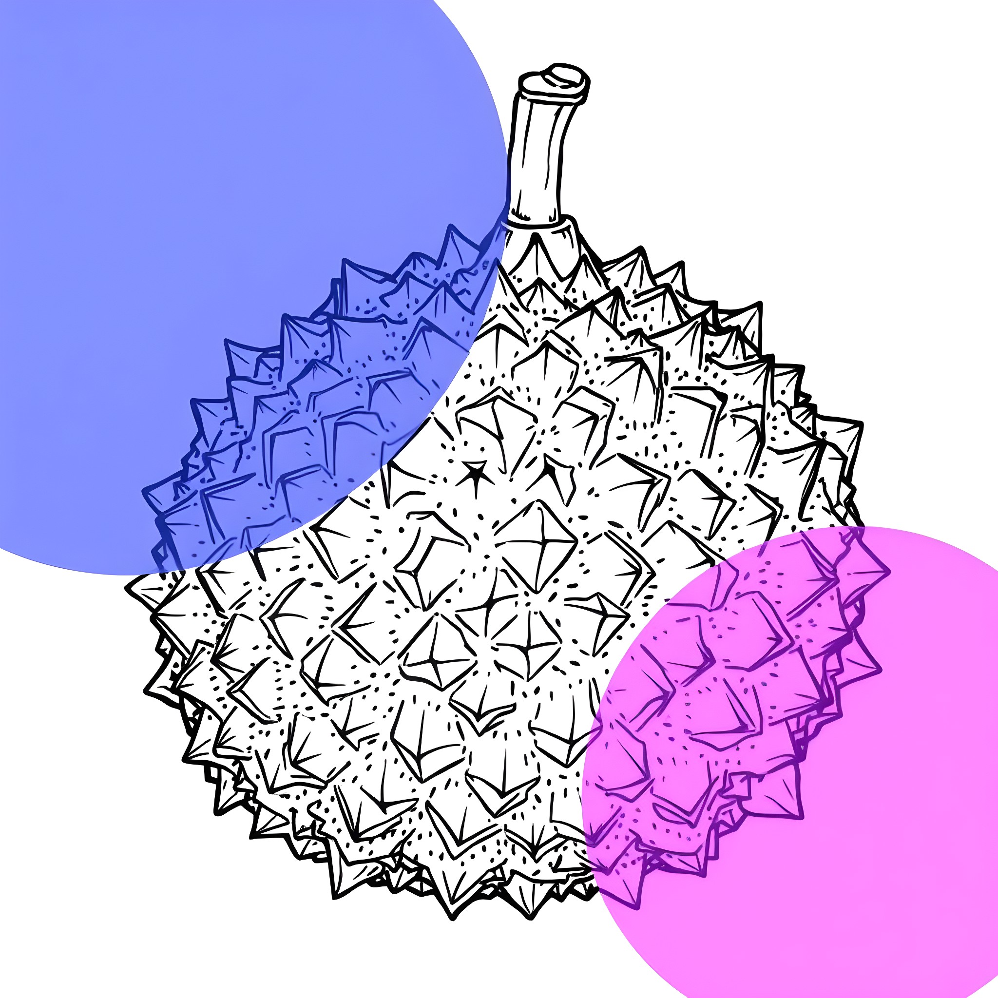 11 Best Jackfruit Coloring Pages (Free Printable PDFs)