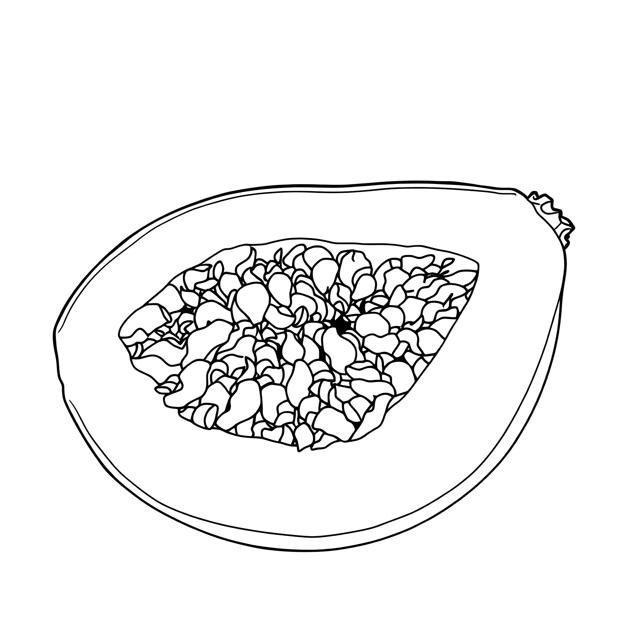 Best Rambutan Coloring Pages (Free Printable PDF) Best Rambutan Coloring Pages (Free Printable PDF)