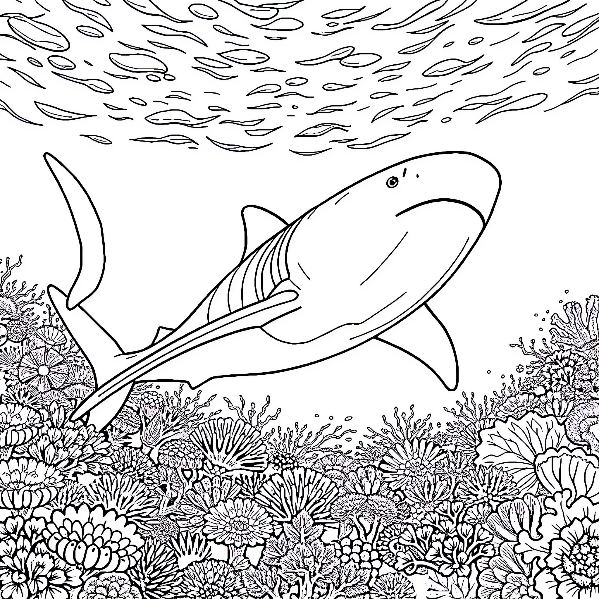 Best Whale Shark Coloring Pages (Free Printable PDF)