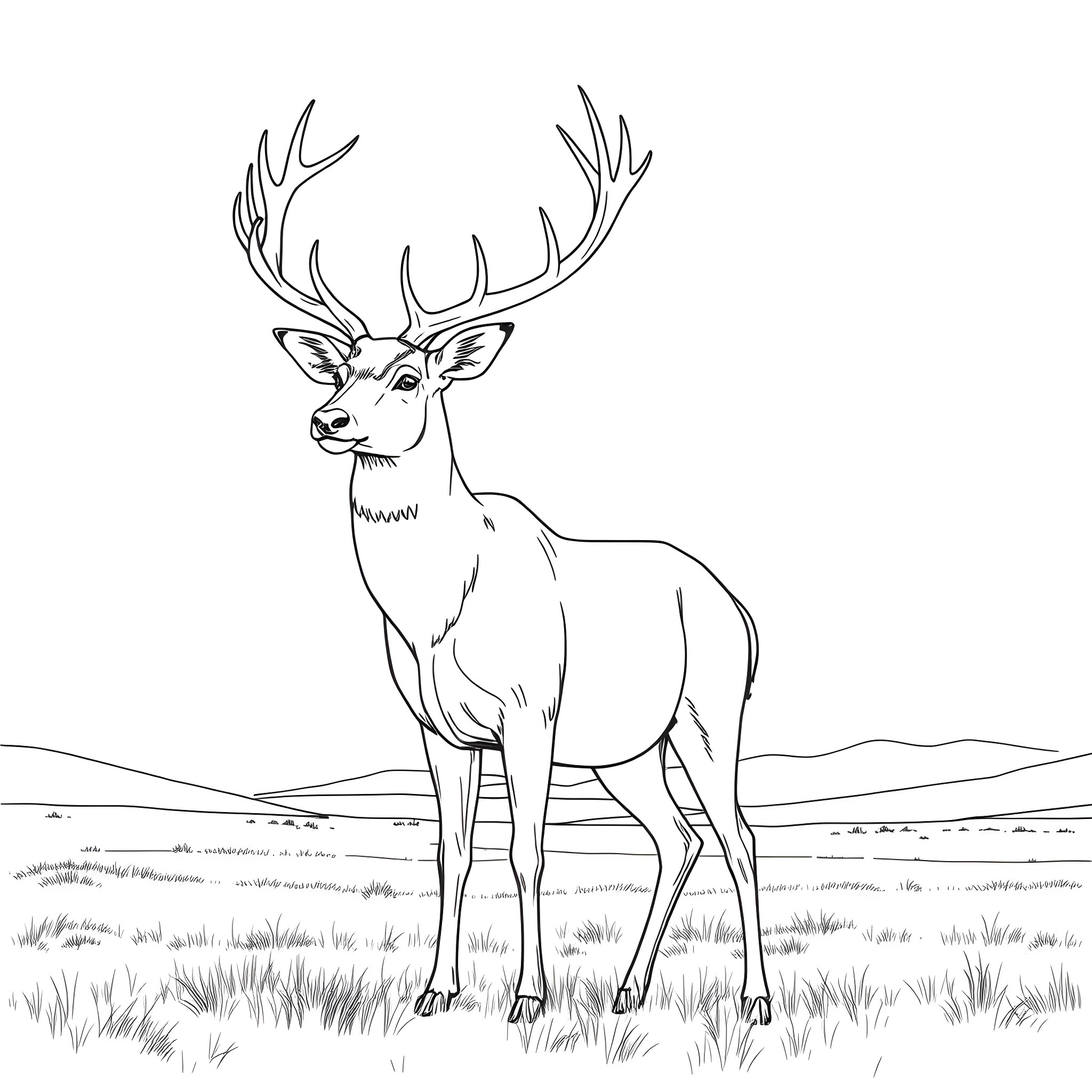 104 Best Deer Coloring Pages (Free Printable PDFs)