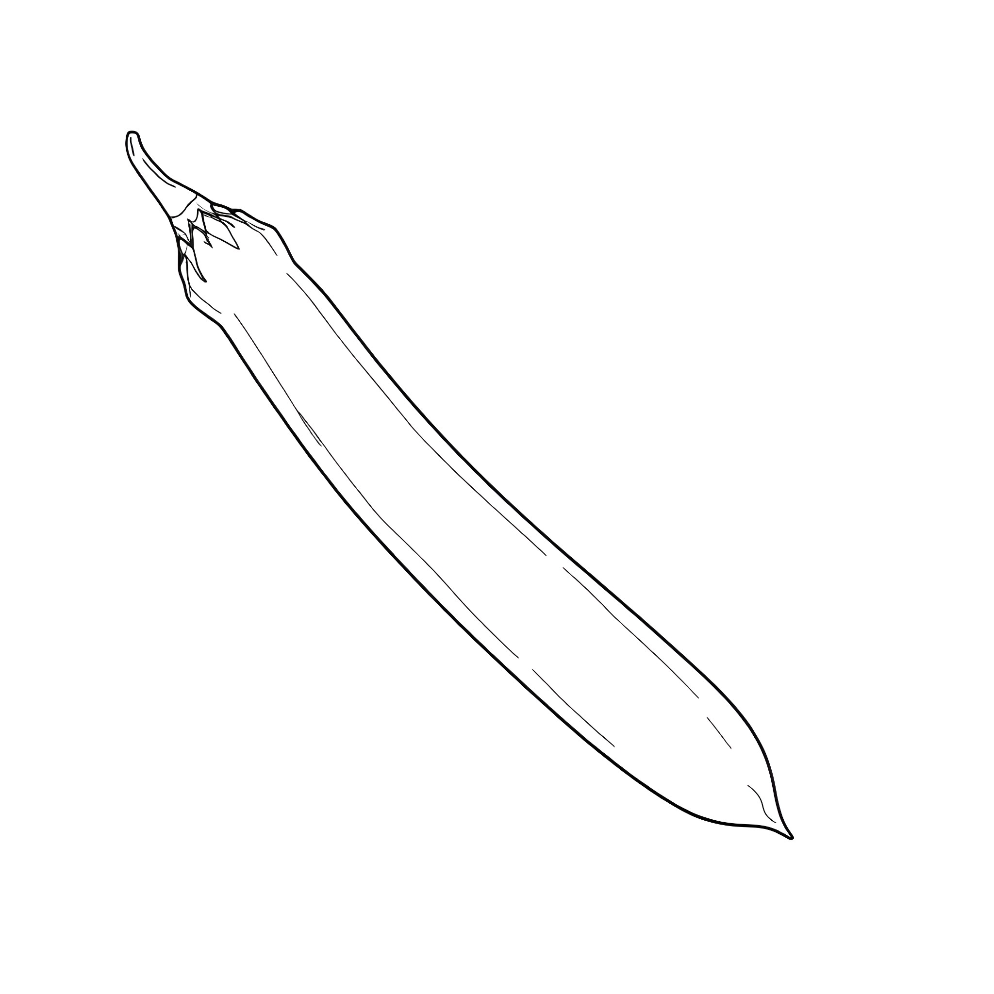 All Coloring Page Collection (With Free Printable PDFs)