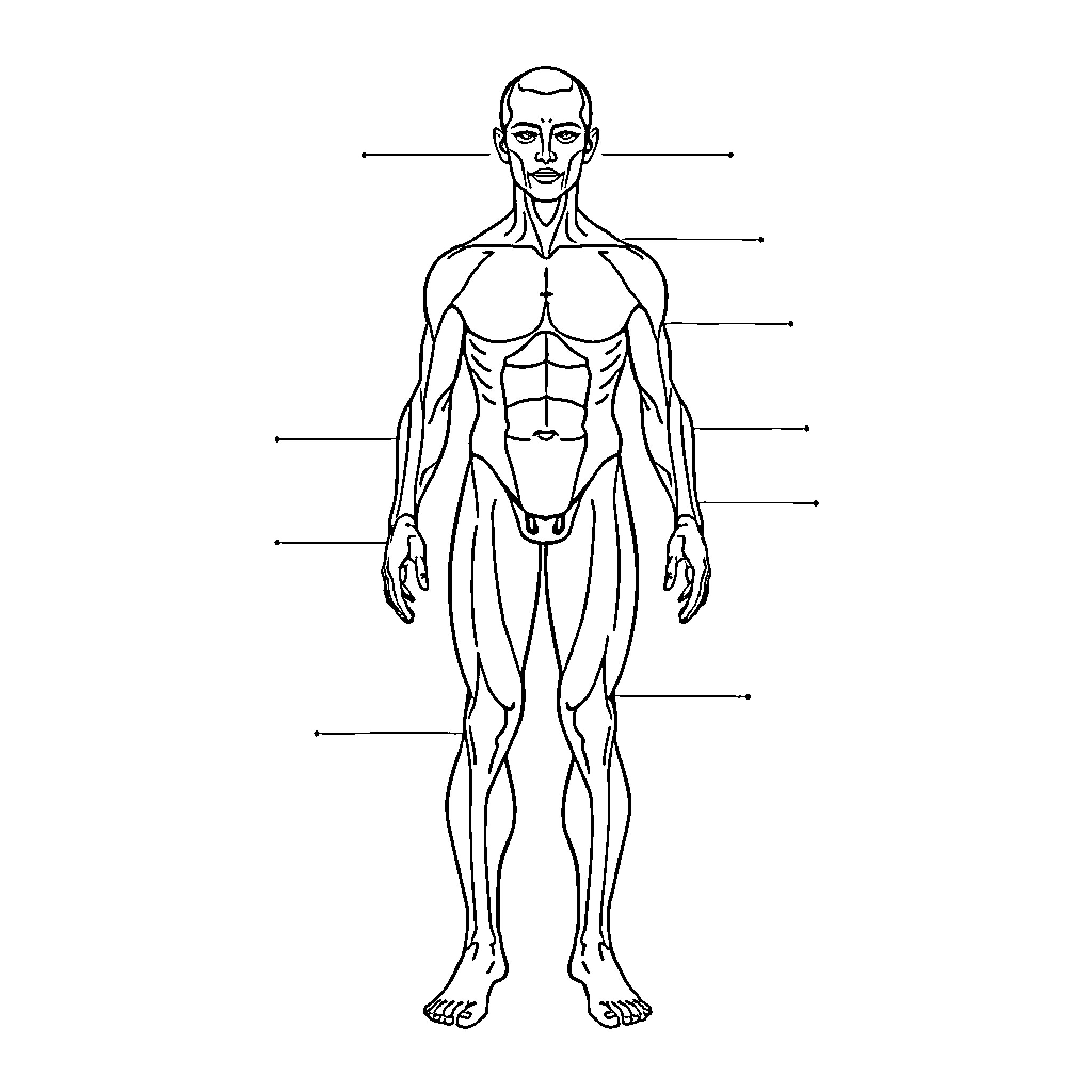 Best Orientation Coloring Pages (Free Printable PDF)