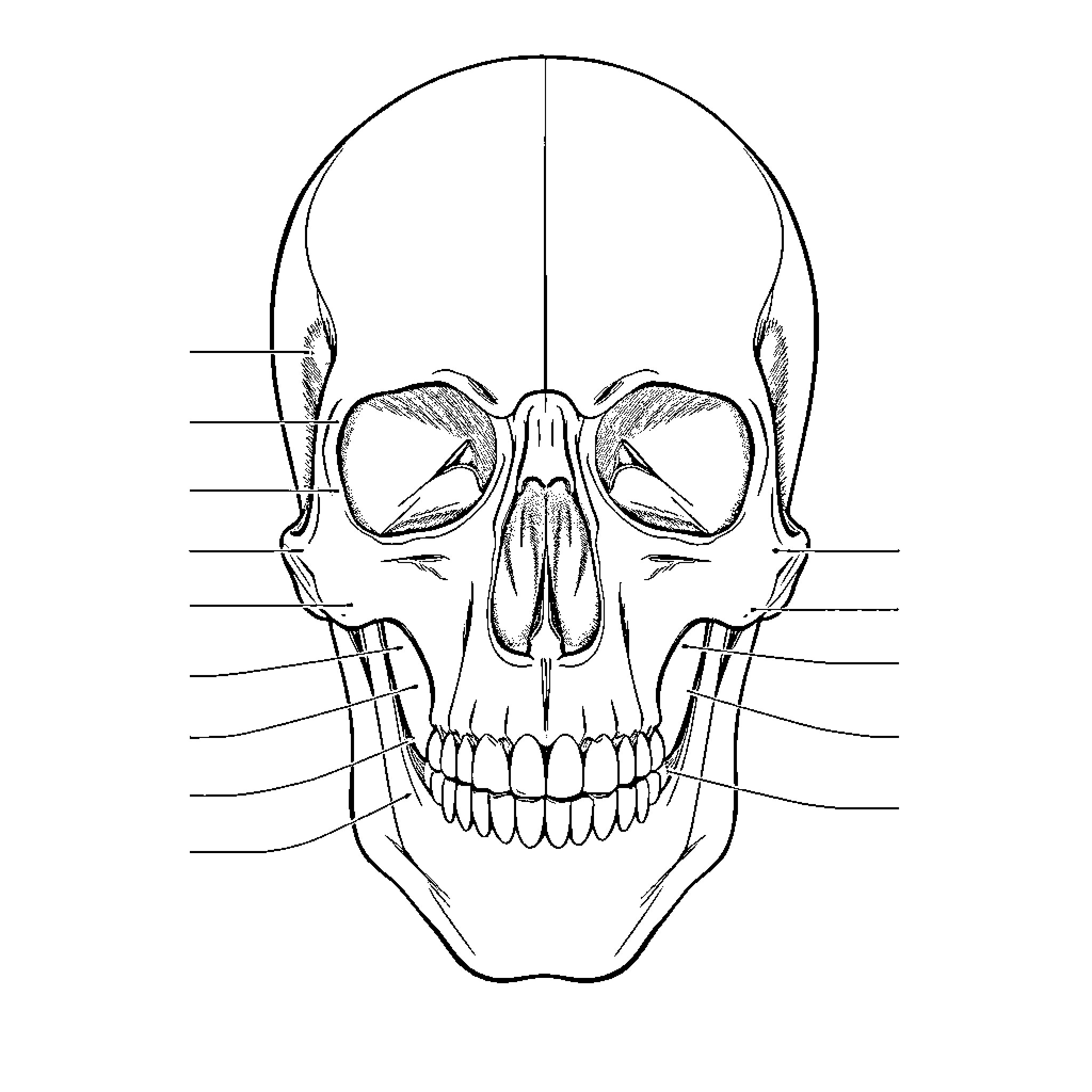 Best Demons Hunter Coloring Pages (Free Printable PDF)