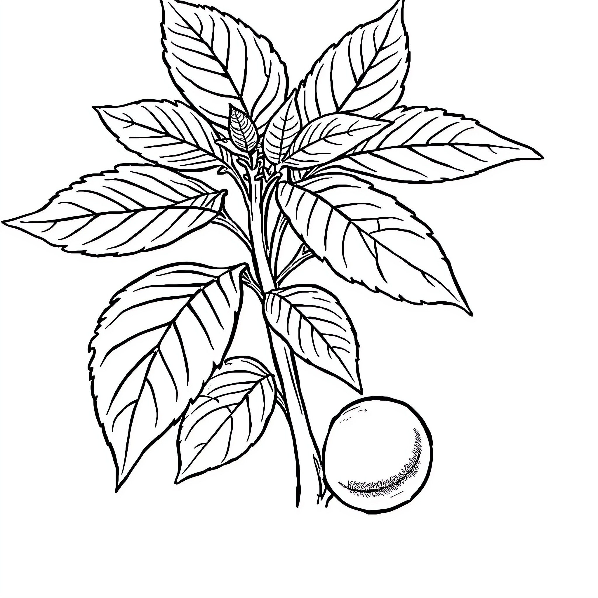 83 Best Plant Coloring Pages (Free Printable PDFs)