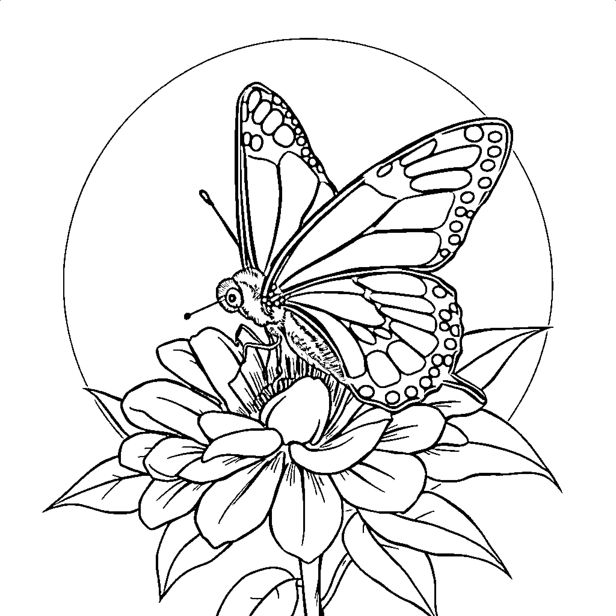 Best Loberon Coloring Pages (Free Printable PDF)