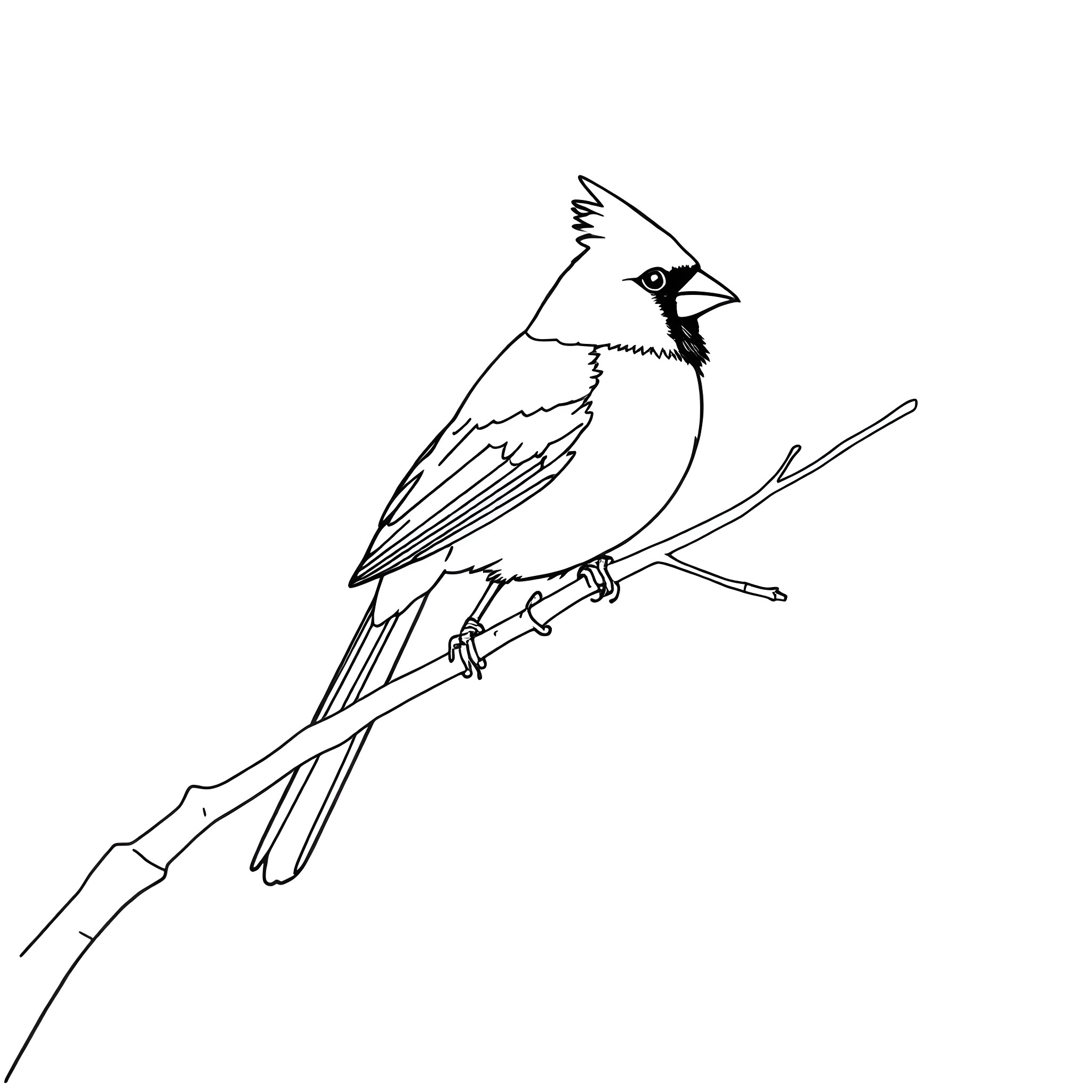 2 Best Northern Cardinal Coloring Pages (Free Printable PDFs)