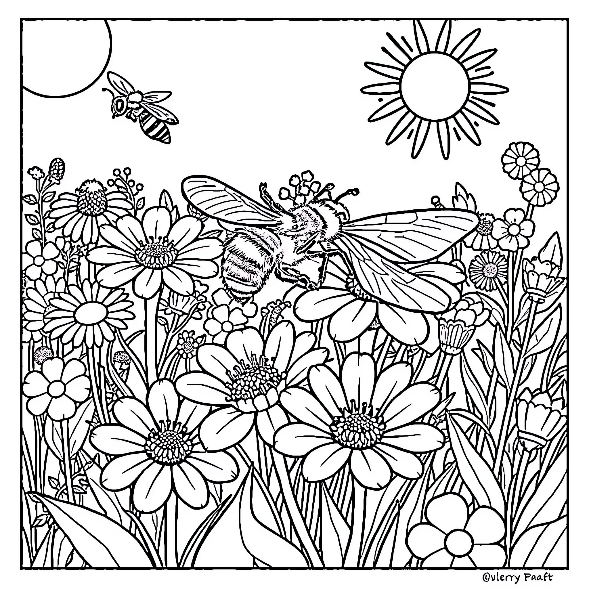 Best Nim Island Coloring Pages (Free Printable PDF)