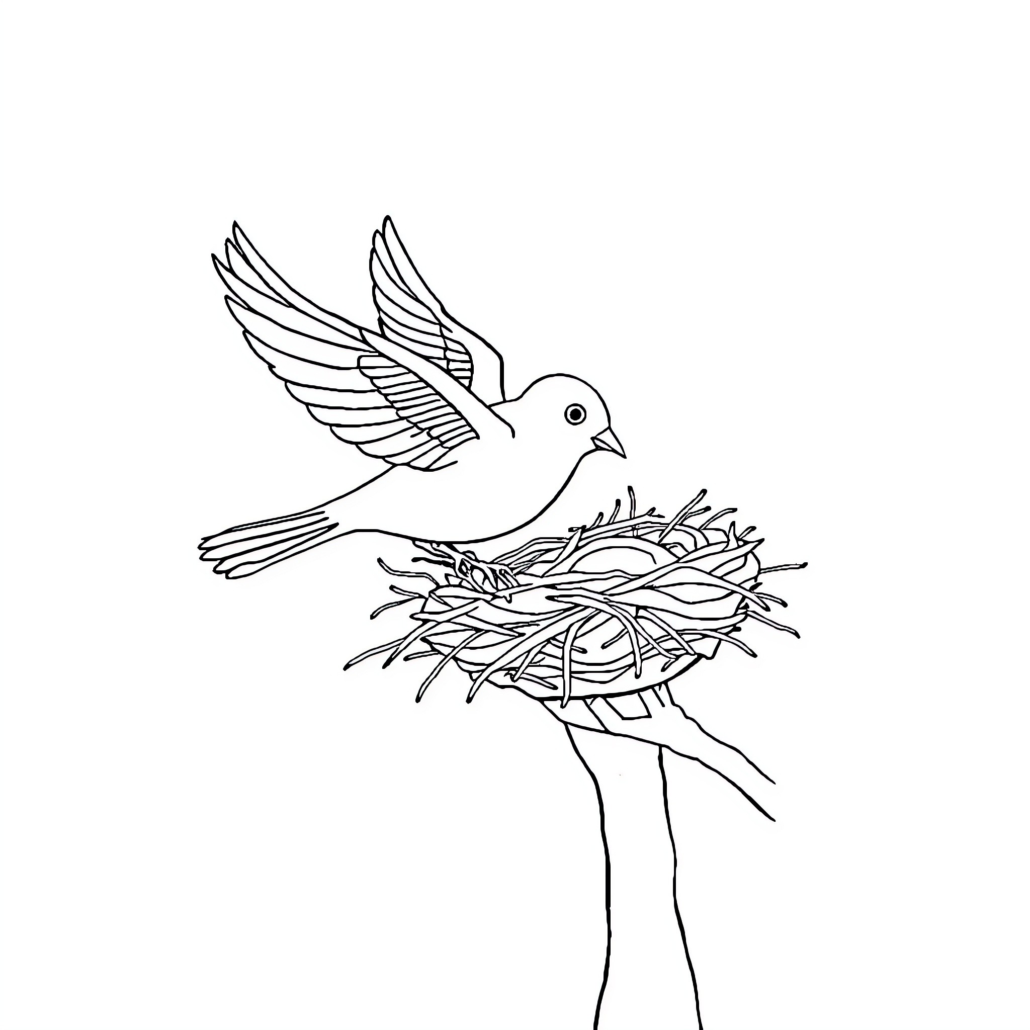 Best Kenan Karaman Coloring Pages (Free Printable PDF)