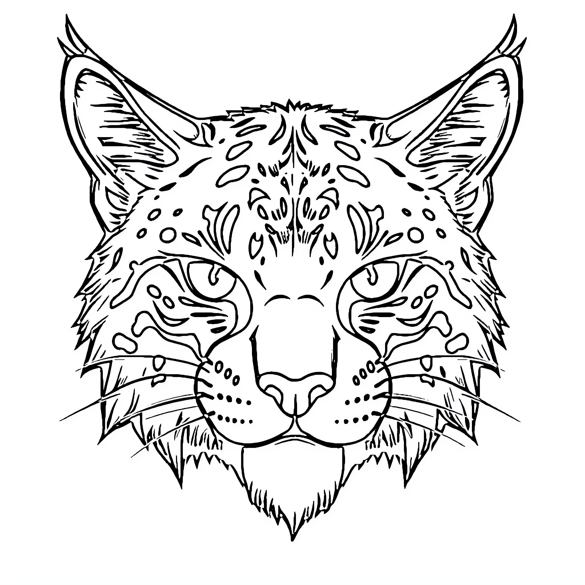 Best Wildcat Coloring Pages (Free Printable PDF)