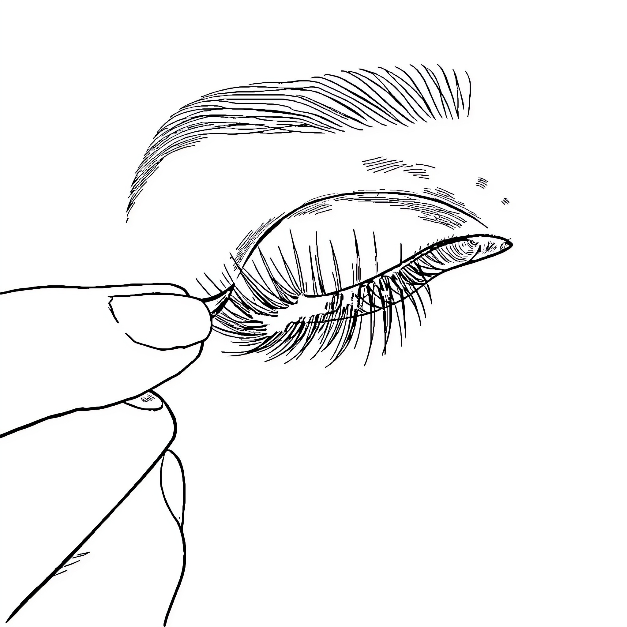 Best Alyssa Coloring Pages (Free Printable PDF)