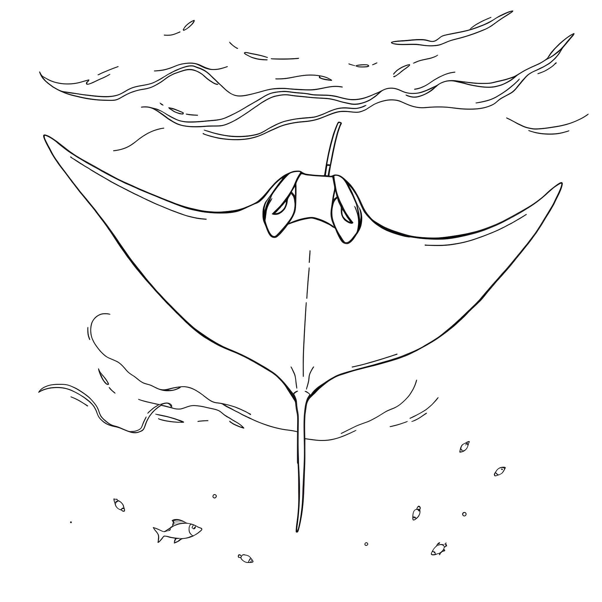 Best Manta Ray Coloring Pages (Free Printable PDF)