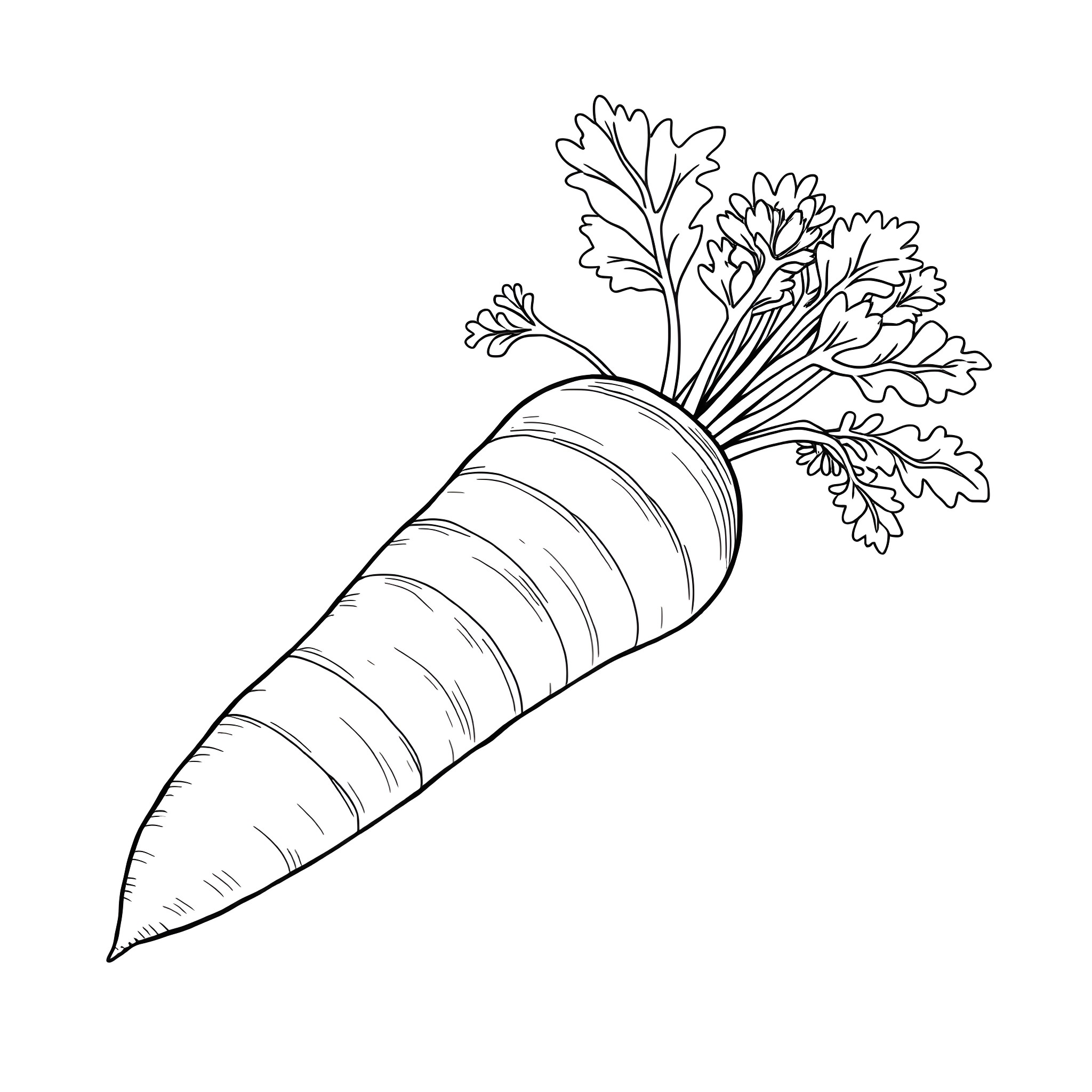 41 Best Carrot Coloring Pages (Free Printable PDFs)