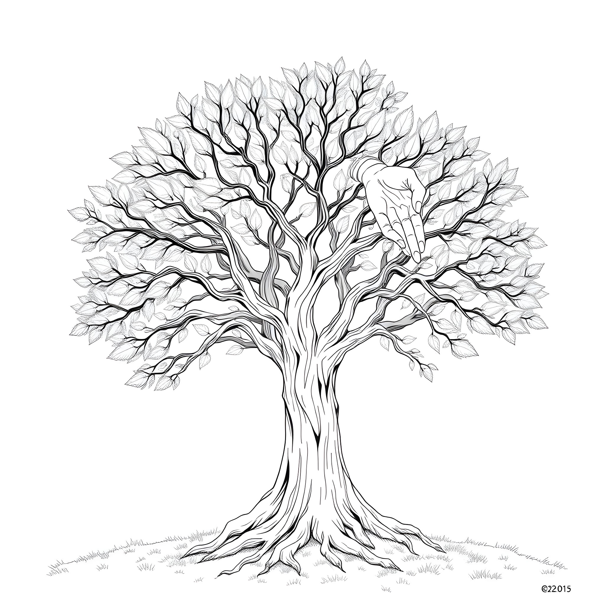 49 Best Tree Coloring Pages (Free Printable PDFs)