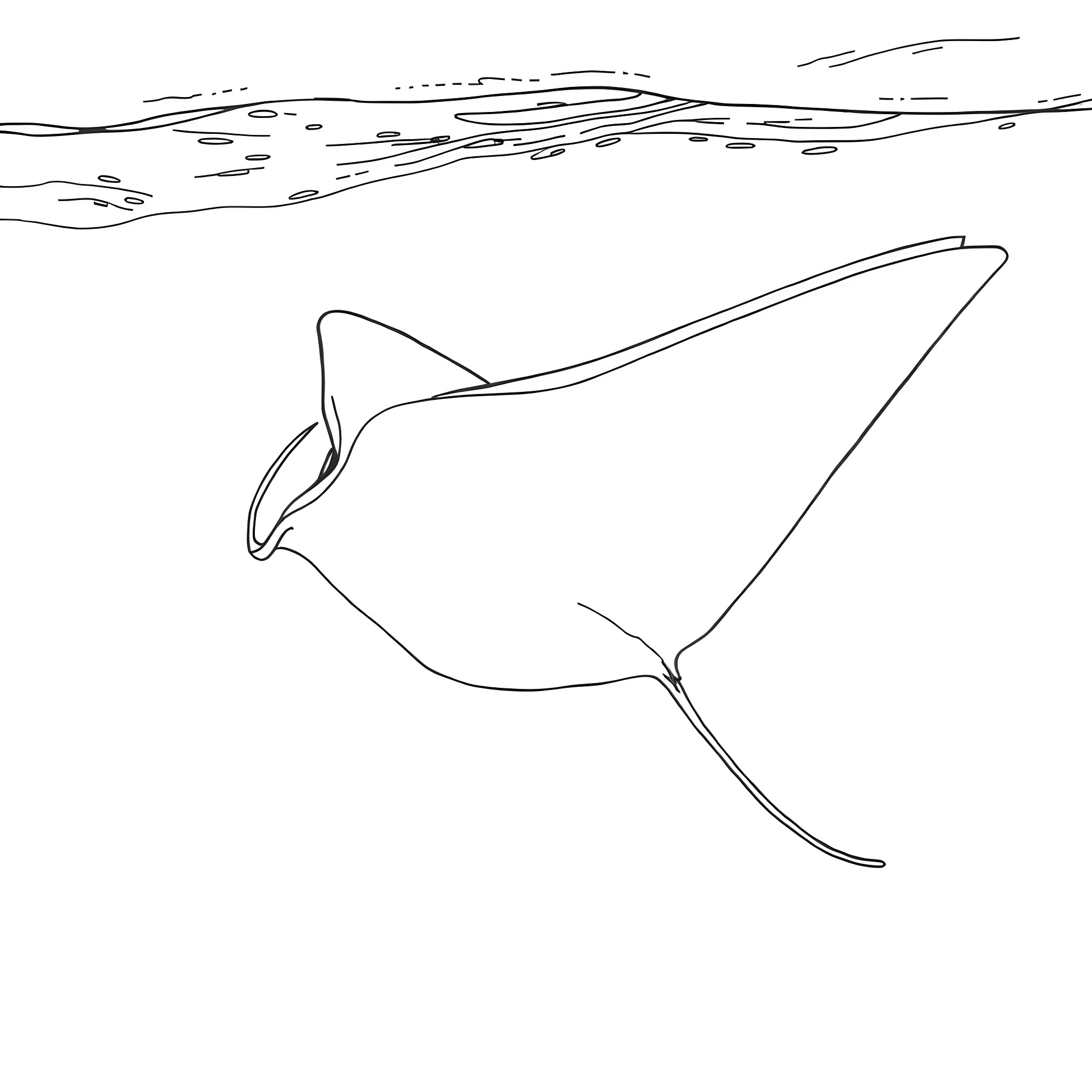 Best Manta Ray Coloring Pages (Free Printable PDF)