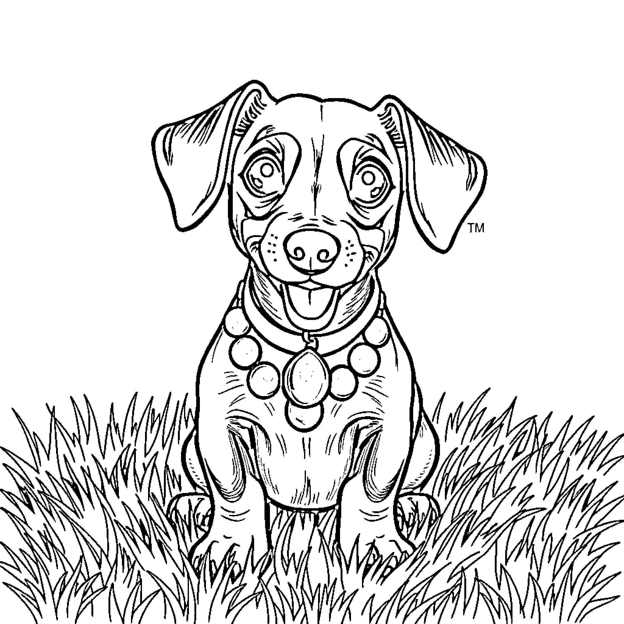 Best Weiner Dog Coloring Pages (Free Printable PDF)