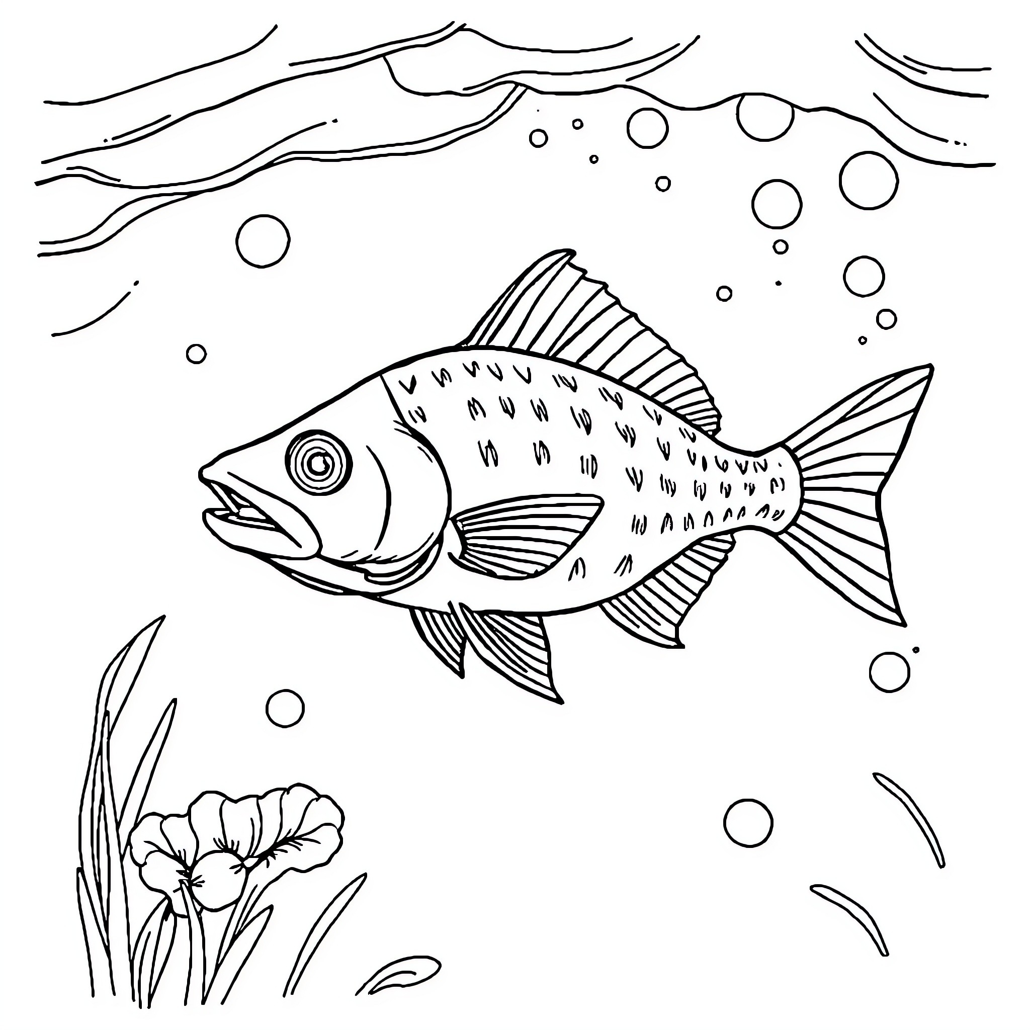 Best Fish Coloring Pages (Free Printable PDF)