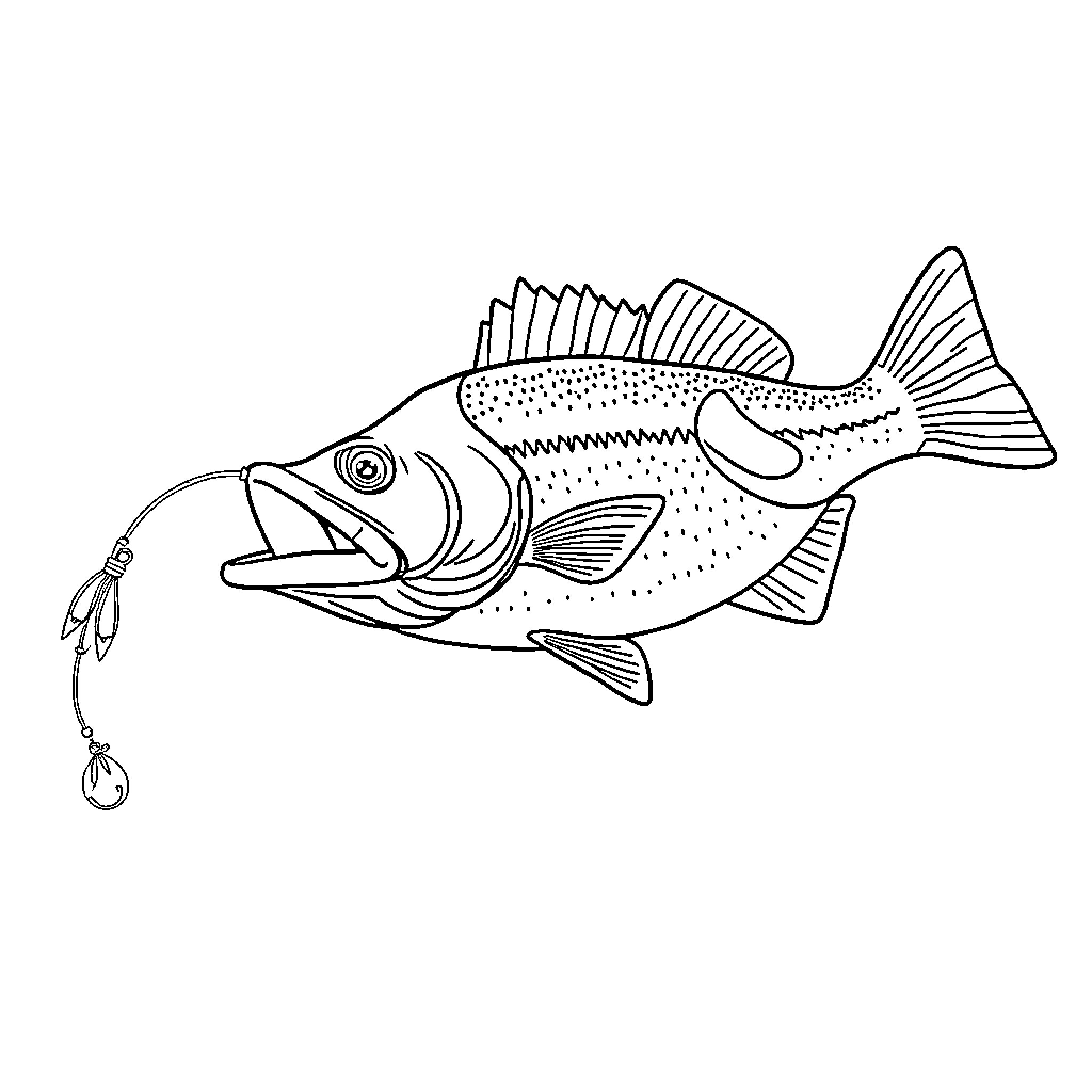 Best Walleye Coloring Pages (Free Printable PDF)