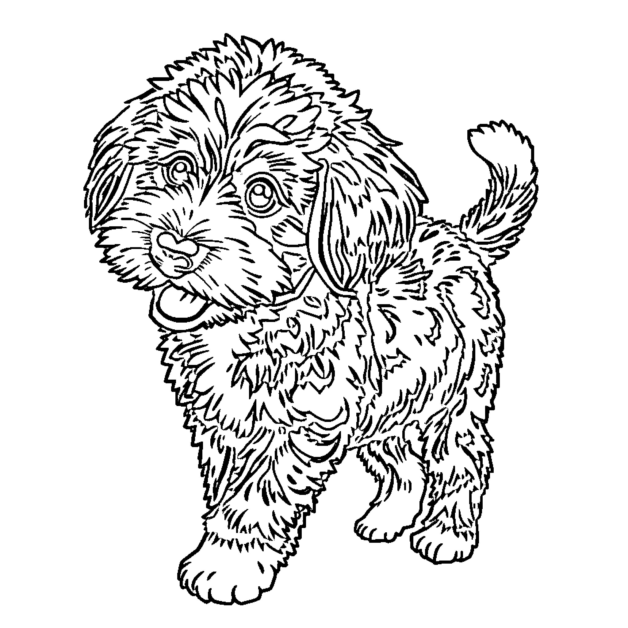 Best Sheepadoodle Coloring Pages (Free Printable PDF)