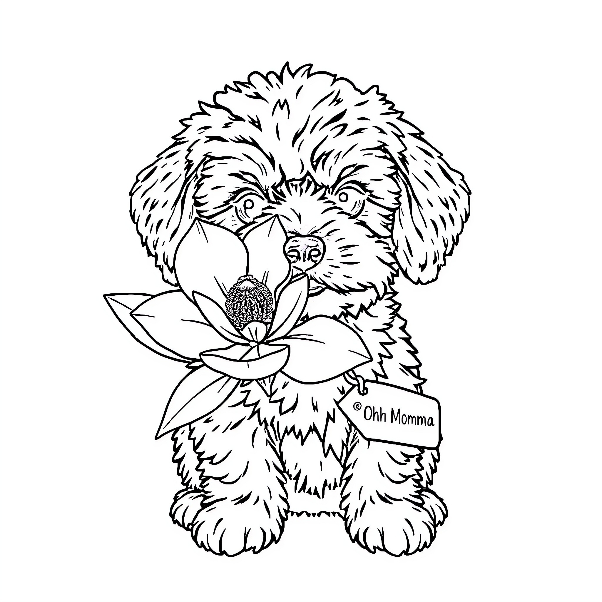 Best Cavapoo Coloring Pages (Free Printable PDF)