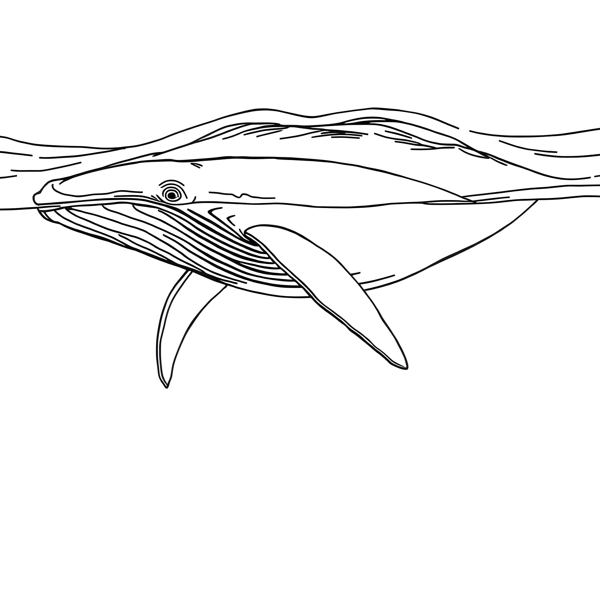 159 Best Whale Coloring Pages (Free Printable PDFs)