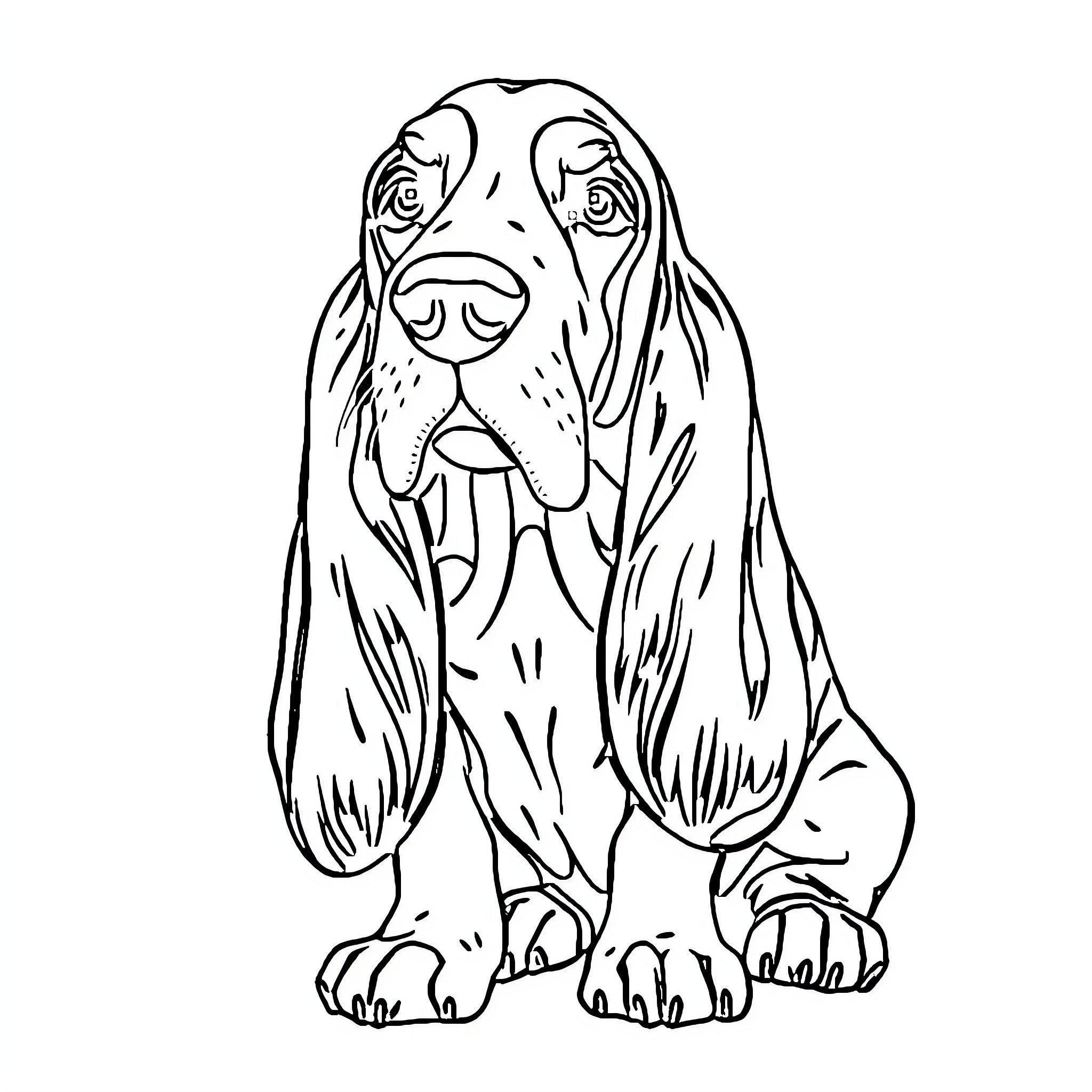 Best Bassett Hound Coloring Pages (Free Printable PDF)