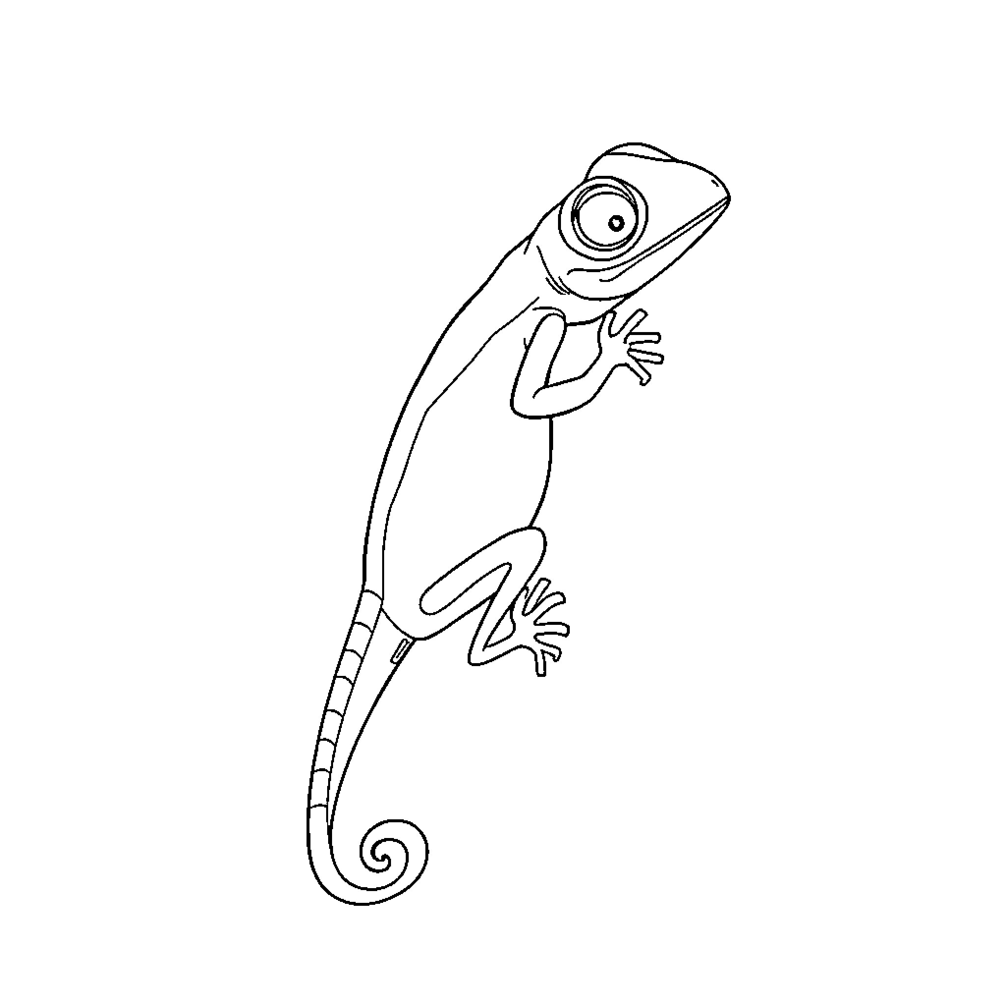 Best Pascal Coloring Pages (Free Printable PDF)