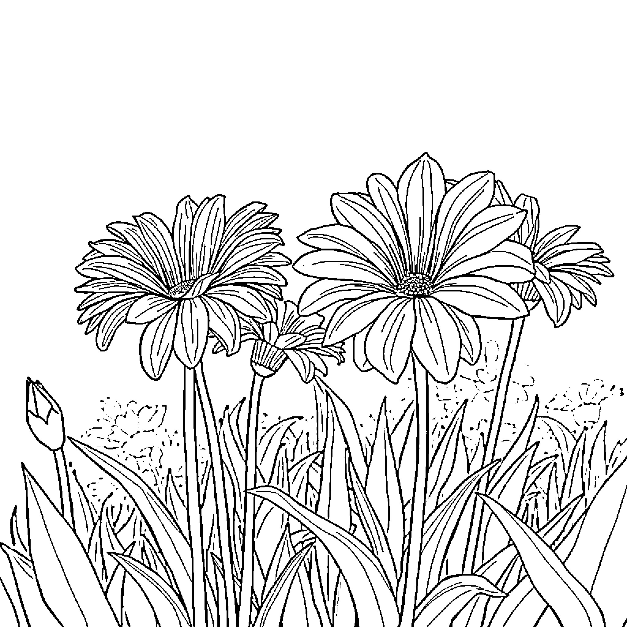 Best Tango Dancer Coloring Pages (Free Printable PDF)