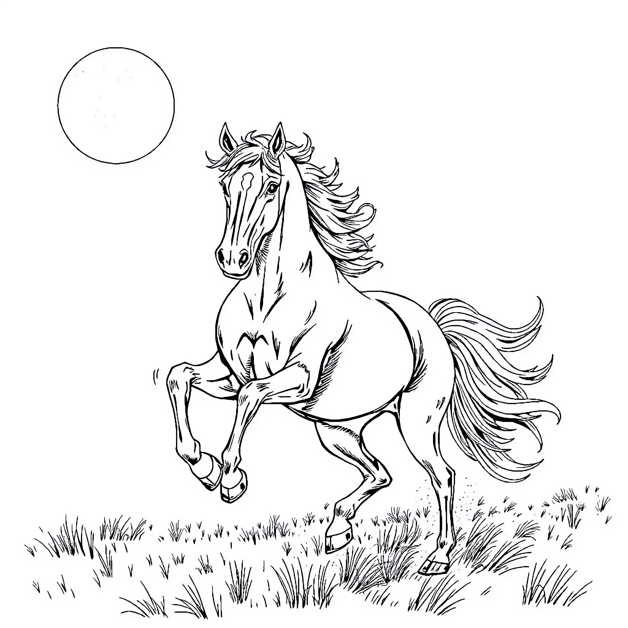 Best Cheval Coloring Pages (Free Printable PDF)