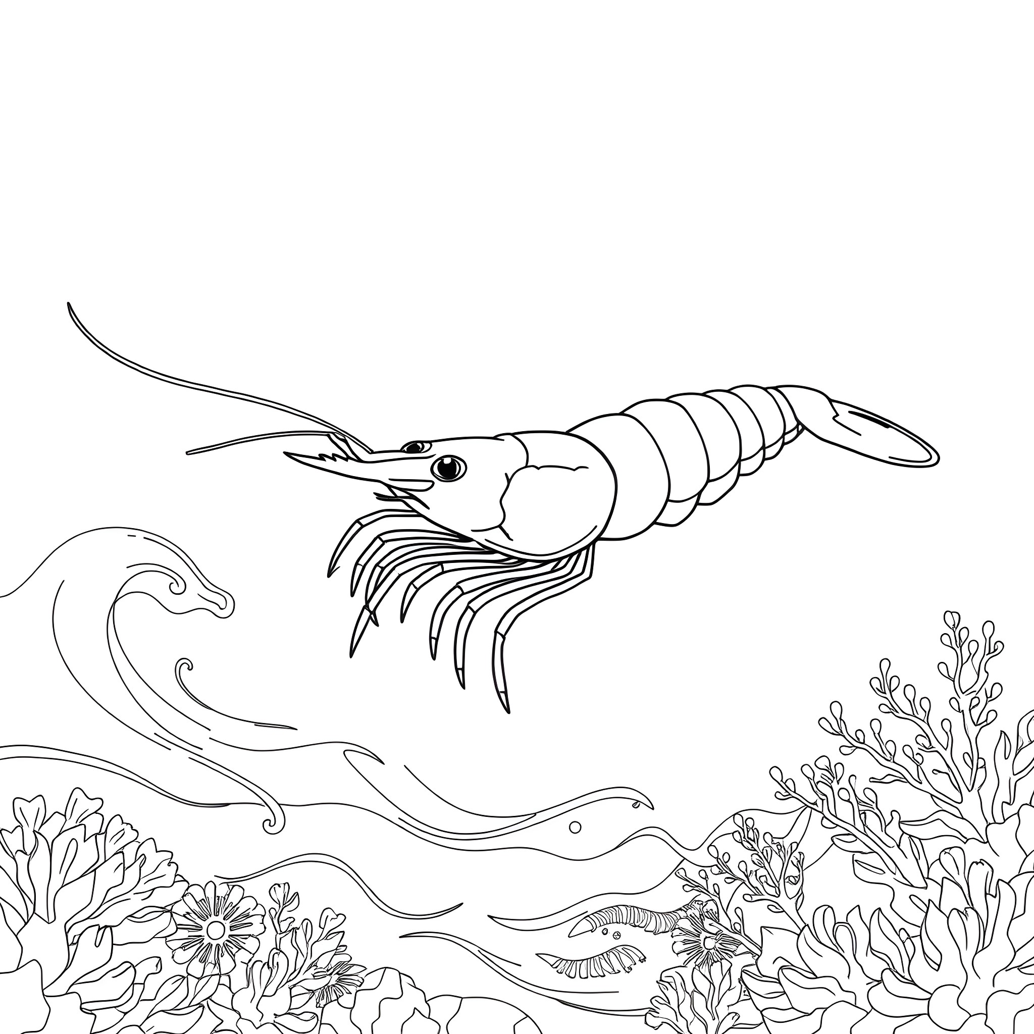 96 Best Shrimp Coloring Pages (Free Printable PDFs)