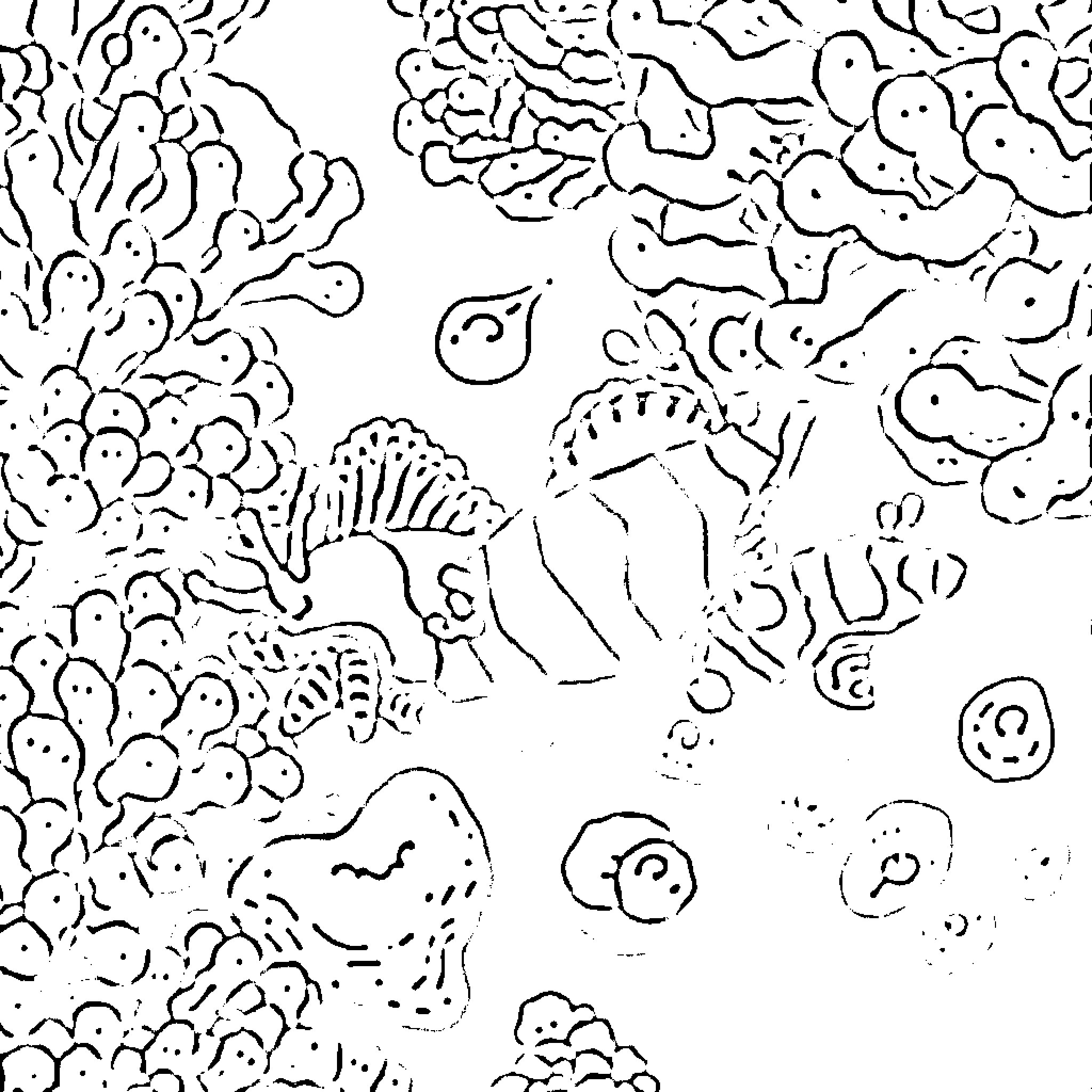 Best Nudibranch Coloring Pages (Free Printable PDF)