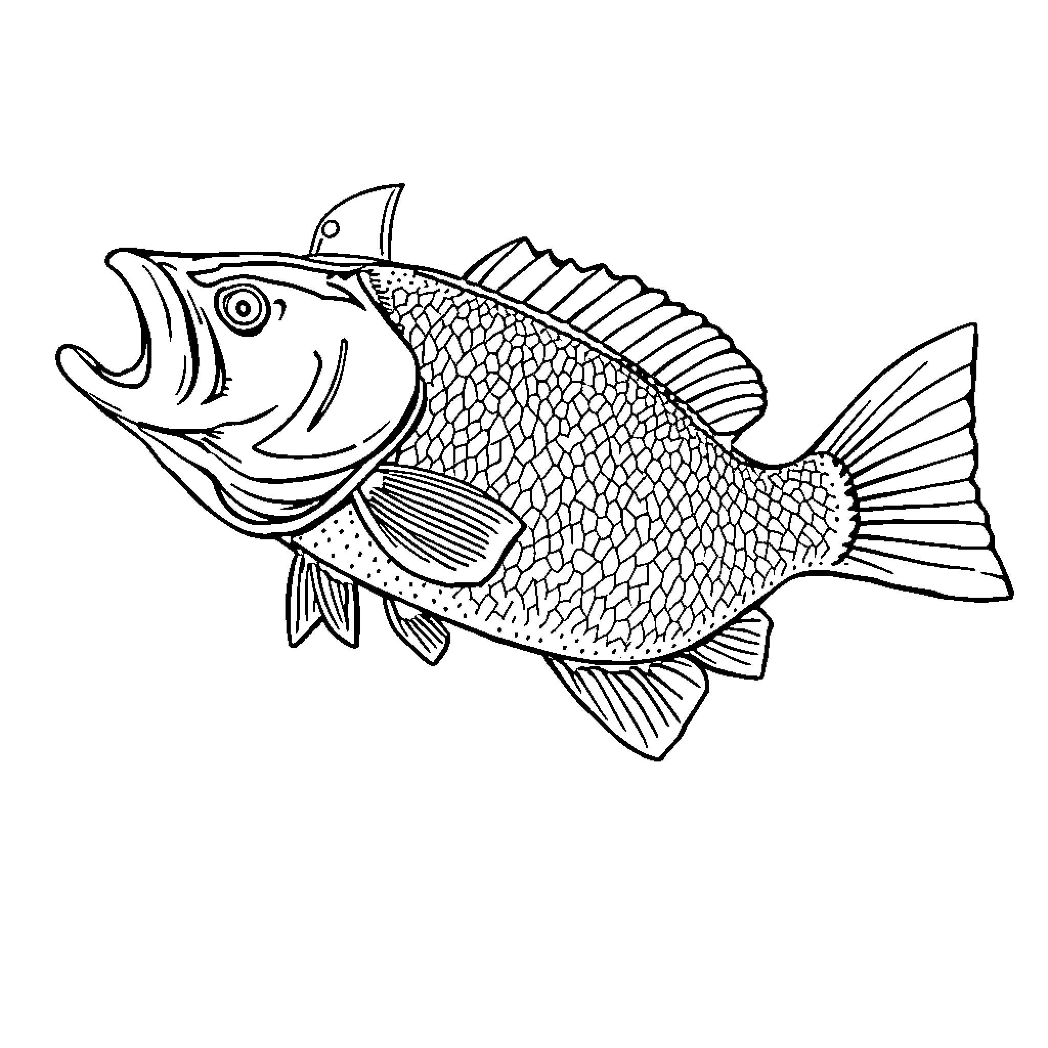 Best Ban Coloring Pages (Free Printable PDF)