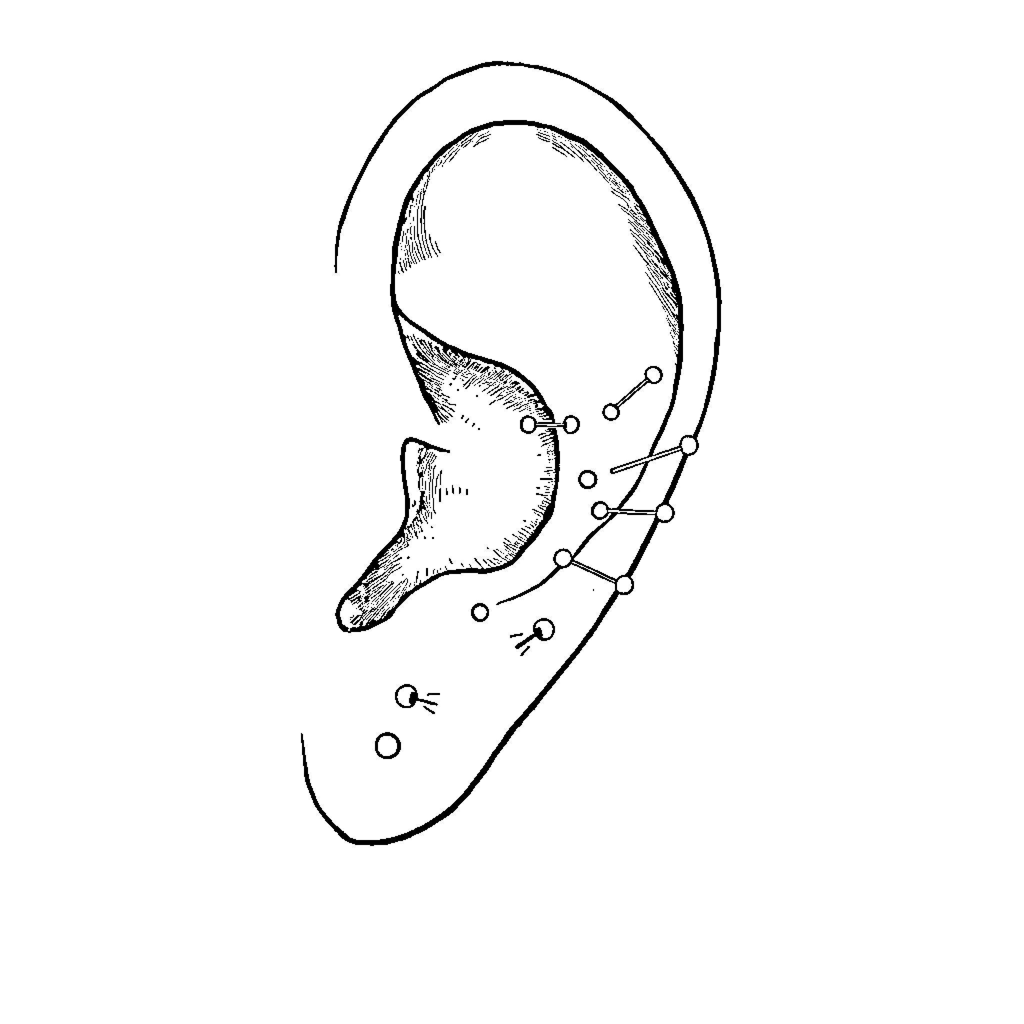Best Auricular Coloring Pages (Free Printable PDF)