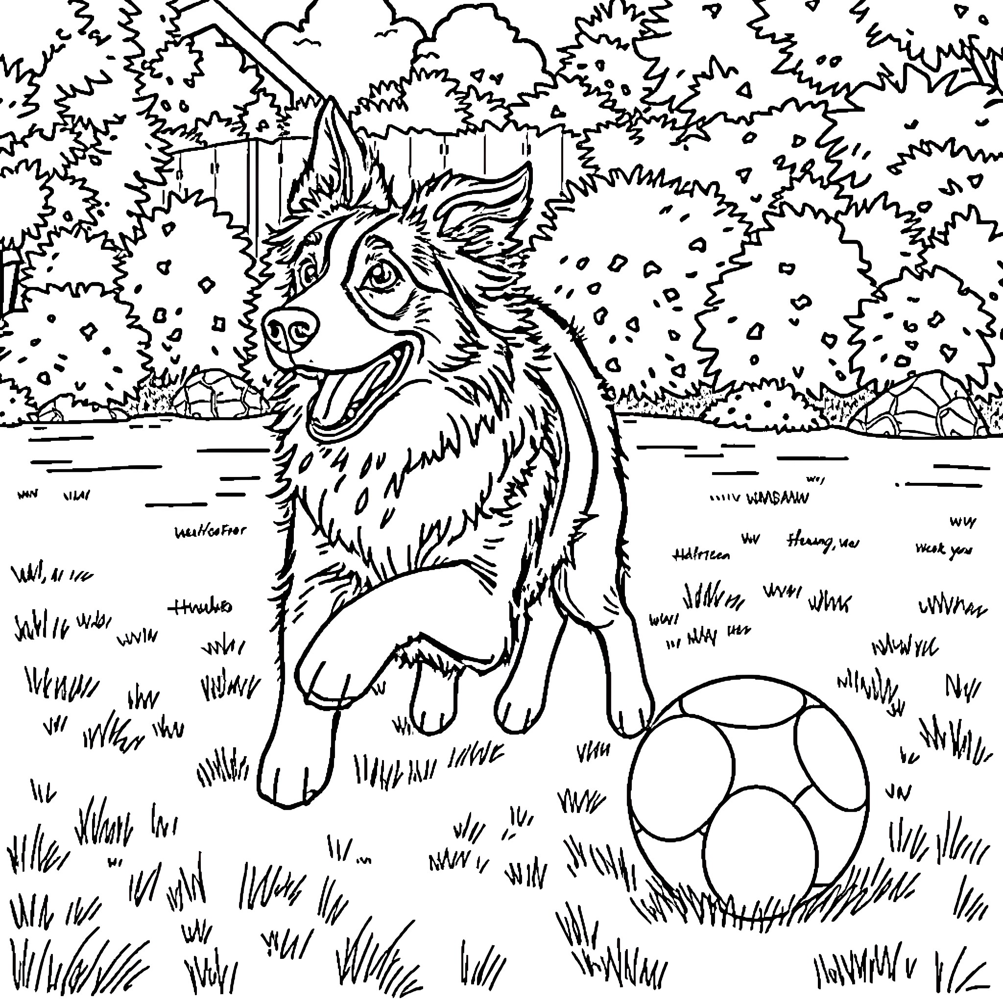 58 Best Border Collie Coloring Pages (Free Printable PDFs)