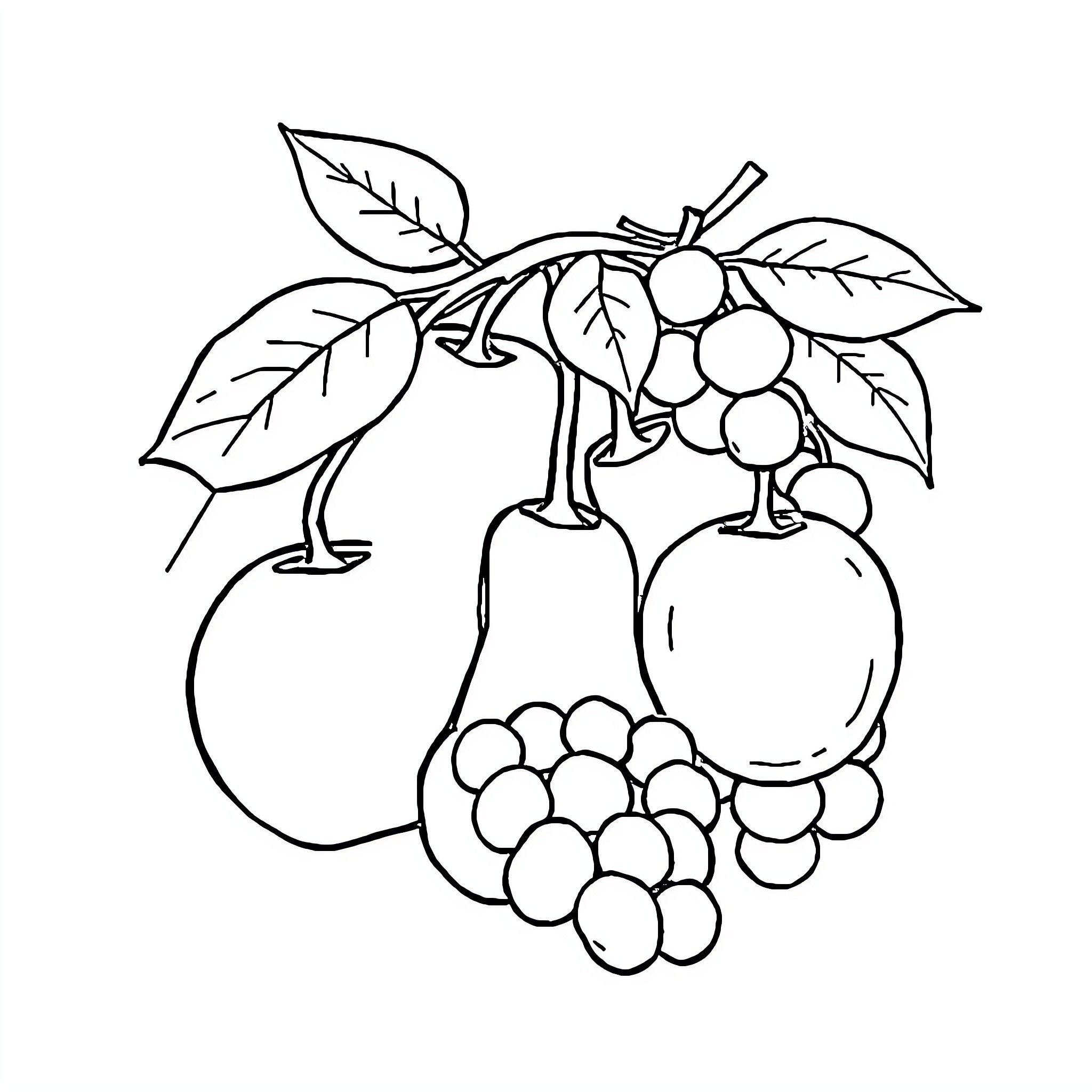 Best Fruit Coloring Pages (Free Printable PDF)