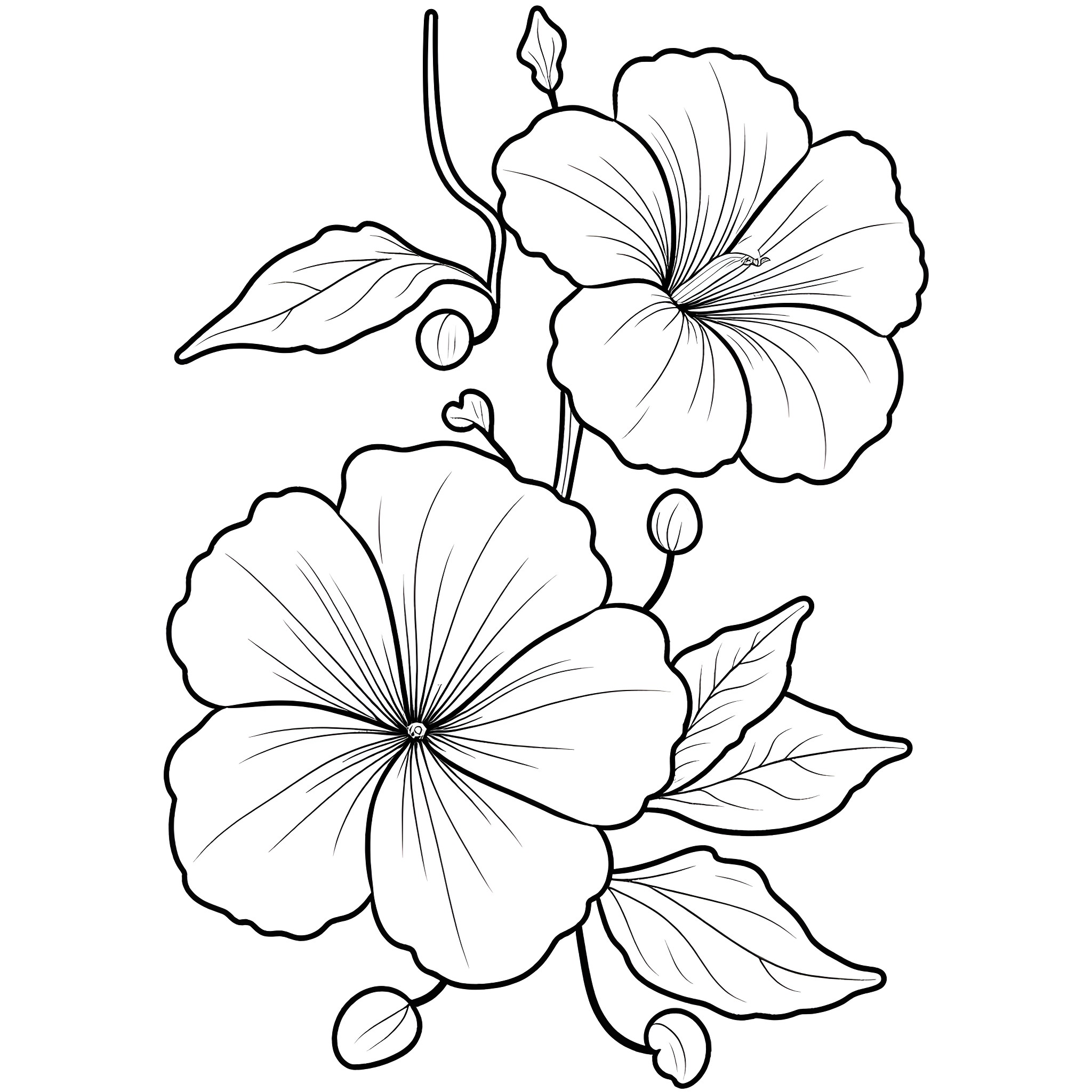 Best Lamar Jackson Coloring Pages (Free Printable PDF)