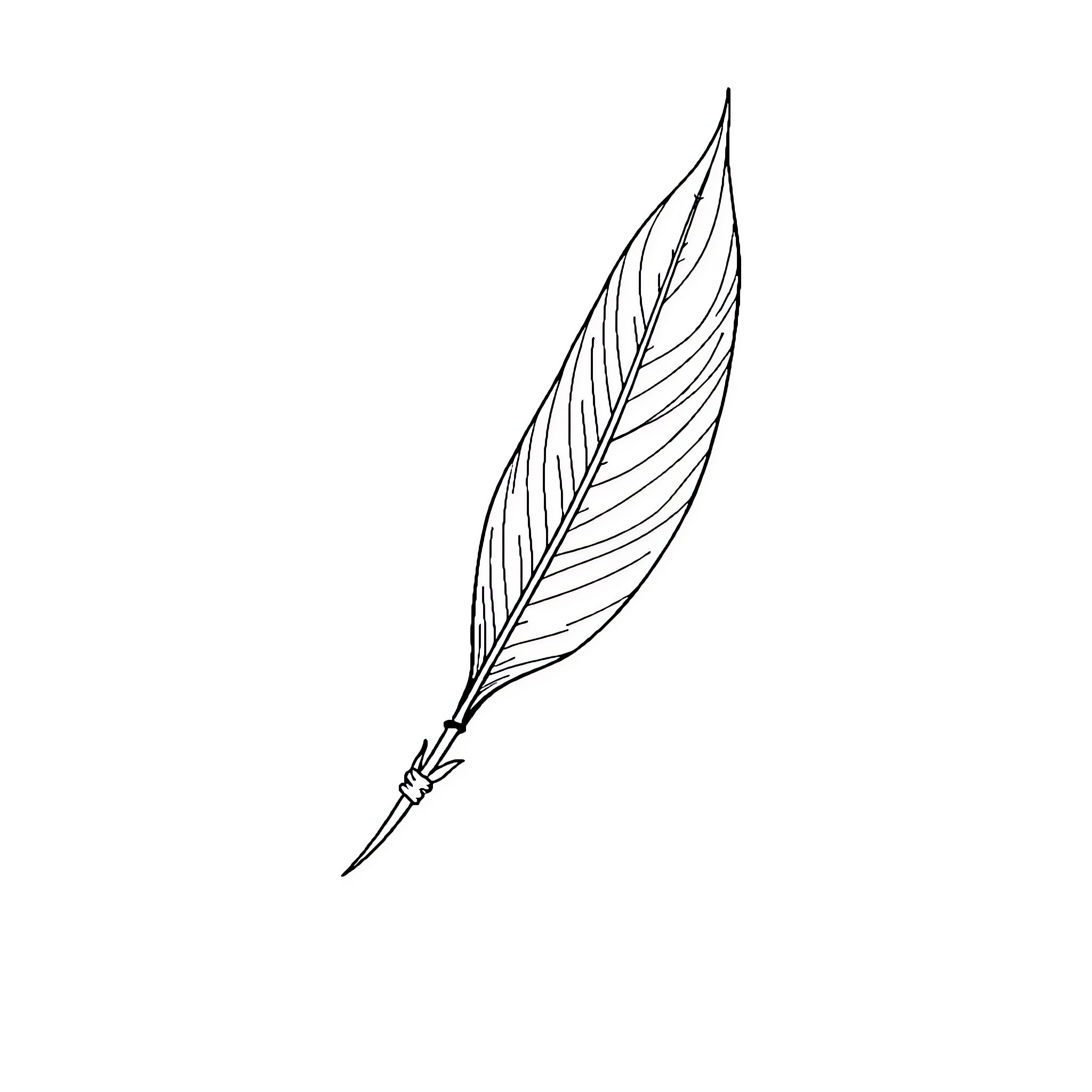 Best Plantas Coloring Pages (Free Printable PDF)