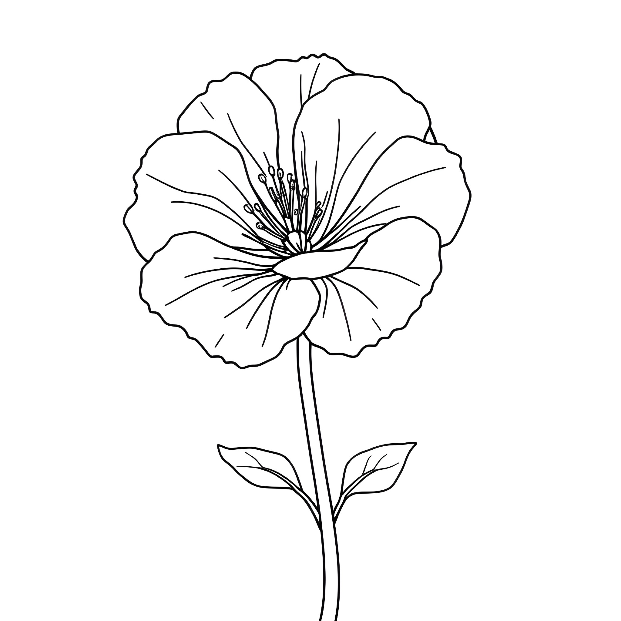 Best Geranium Coloring Pages (Free Printable PDF)