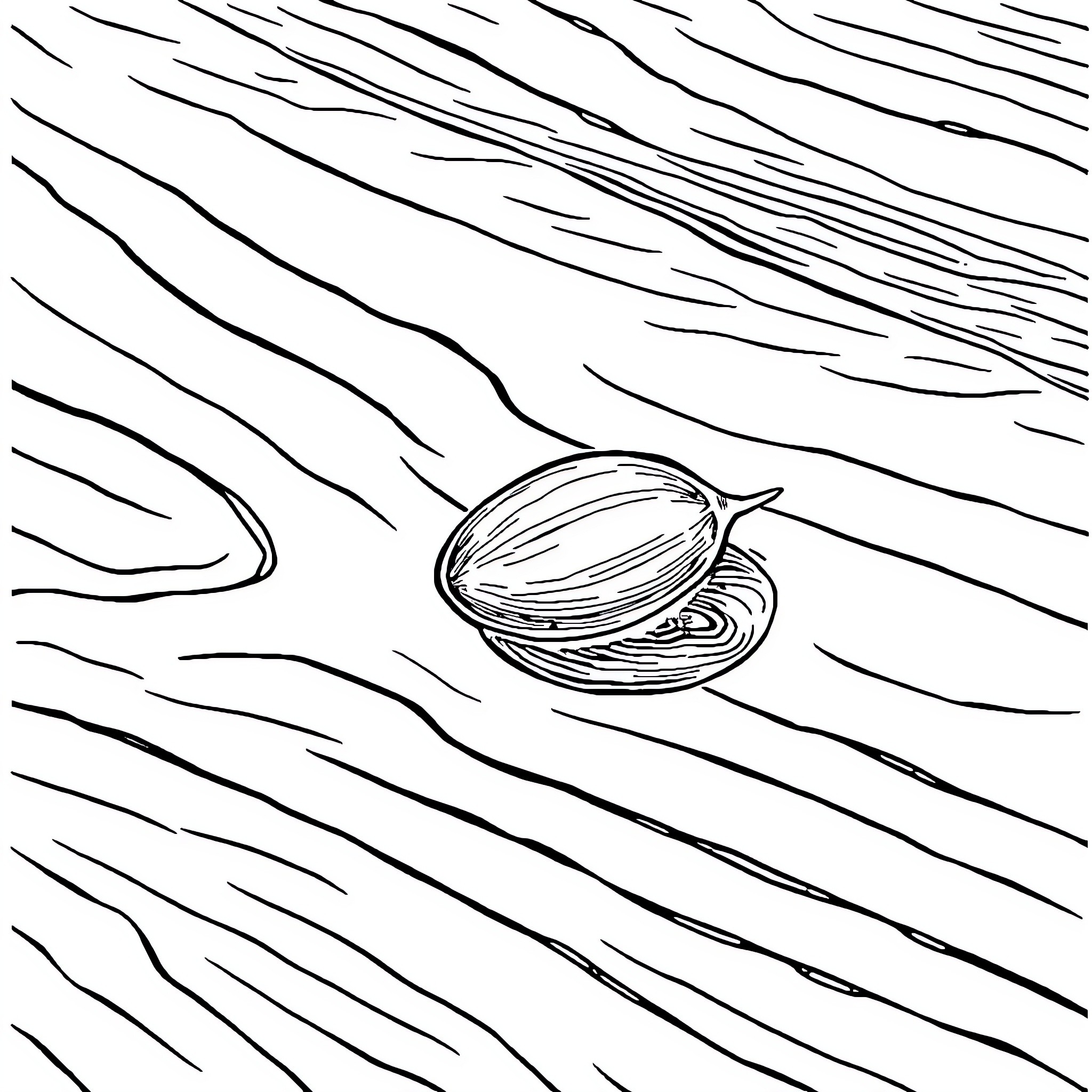 Best Mustard Seed Coloring Pages (Free Printable PDF)